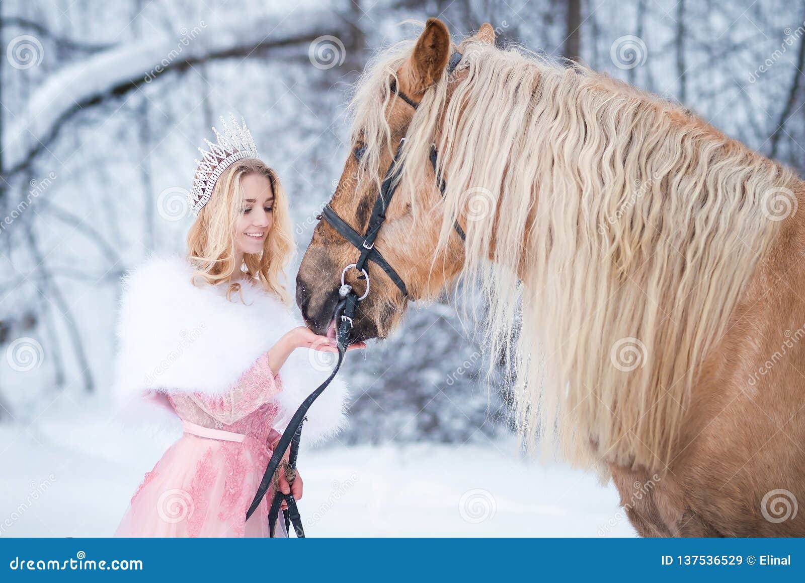 Princess in Crown with Horse in Winter. Fairy Tale. Romantic Fanatsy ...