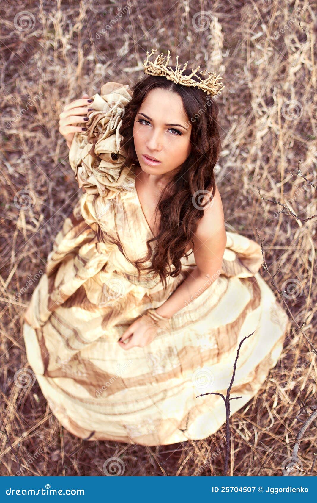 Princess in gold dress stock image. Image of glamour - 25704507