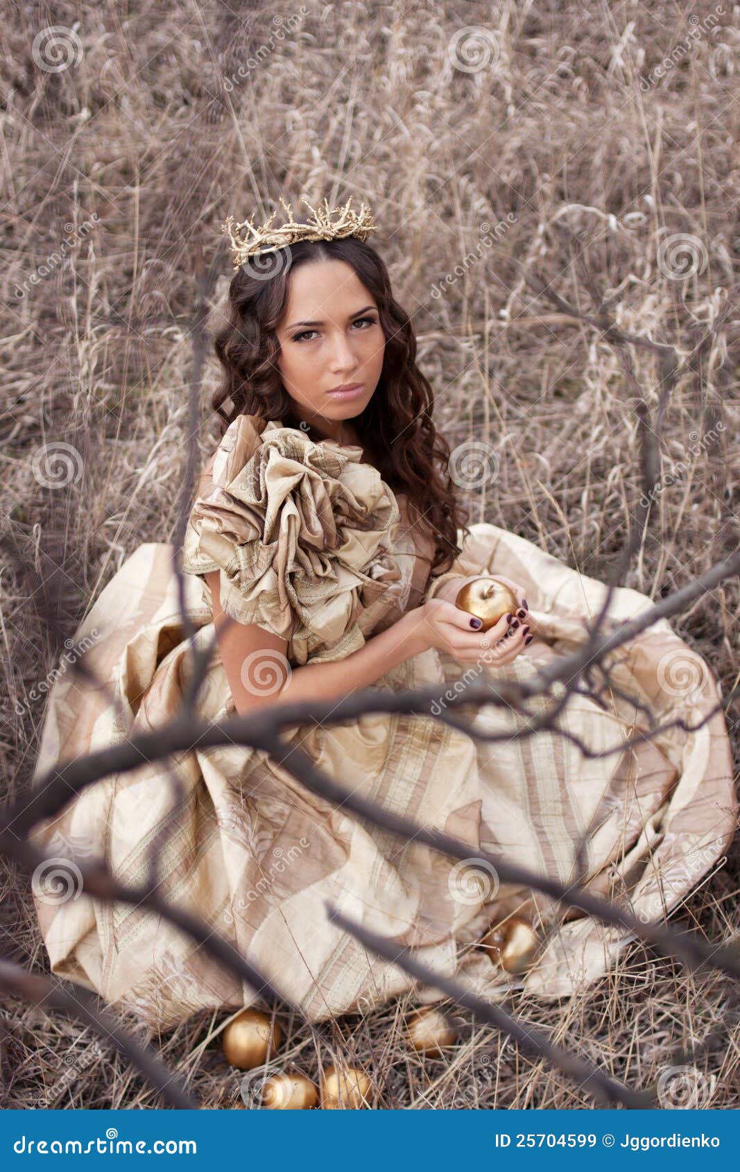 Princess in gold dress stock image. Image of love, diadem - 25704599