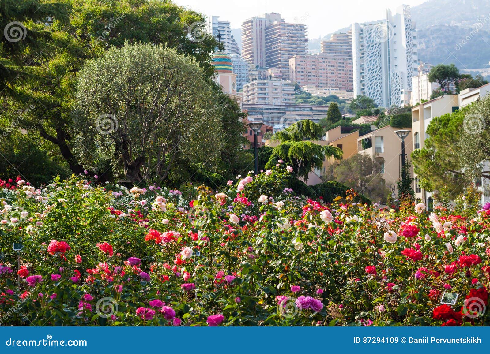 Princess Grace Rose Garden, Monaco Stock Image - Image of floreal ...