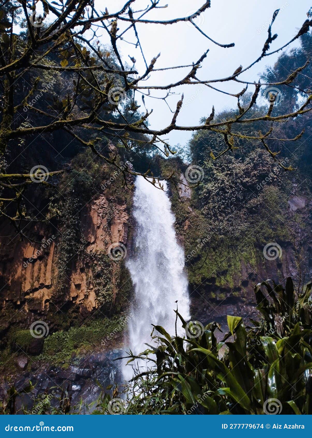 Princess Waterfall in Indoneia Stock Photo - Image of forest, jungle ...