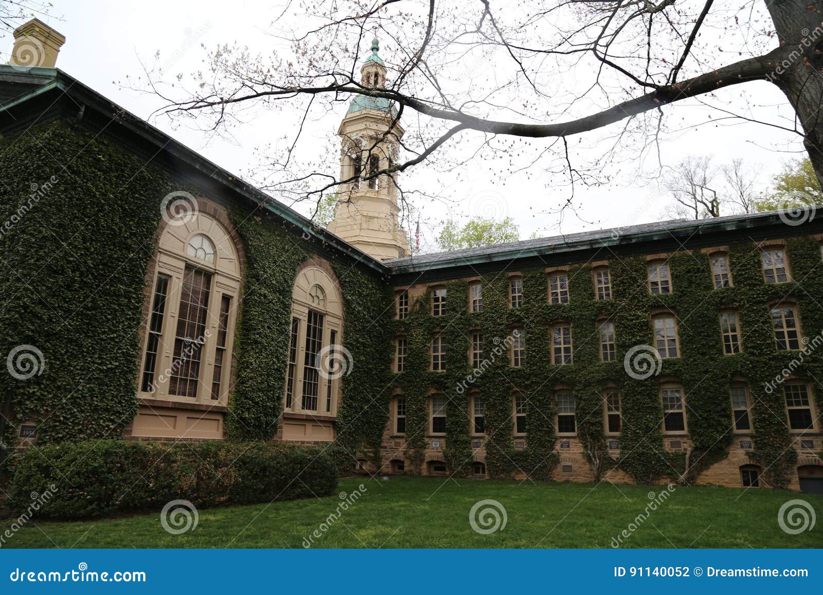 Princeton University stock photo. Image of tree, education - 91140052