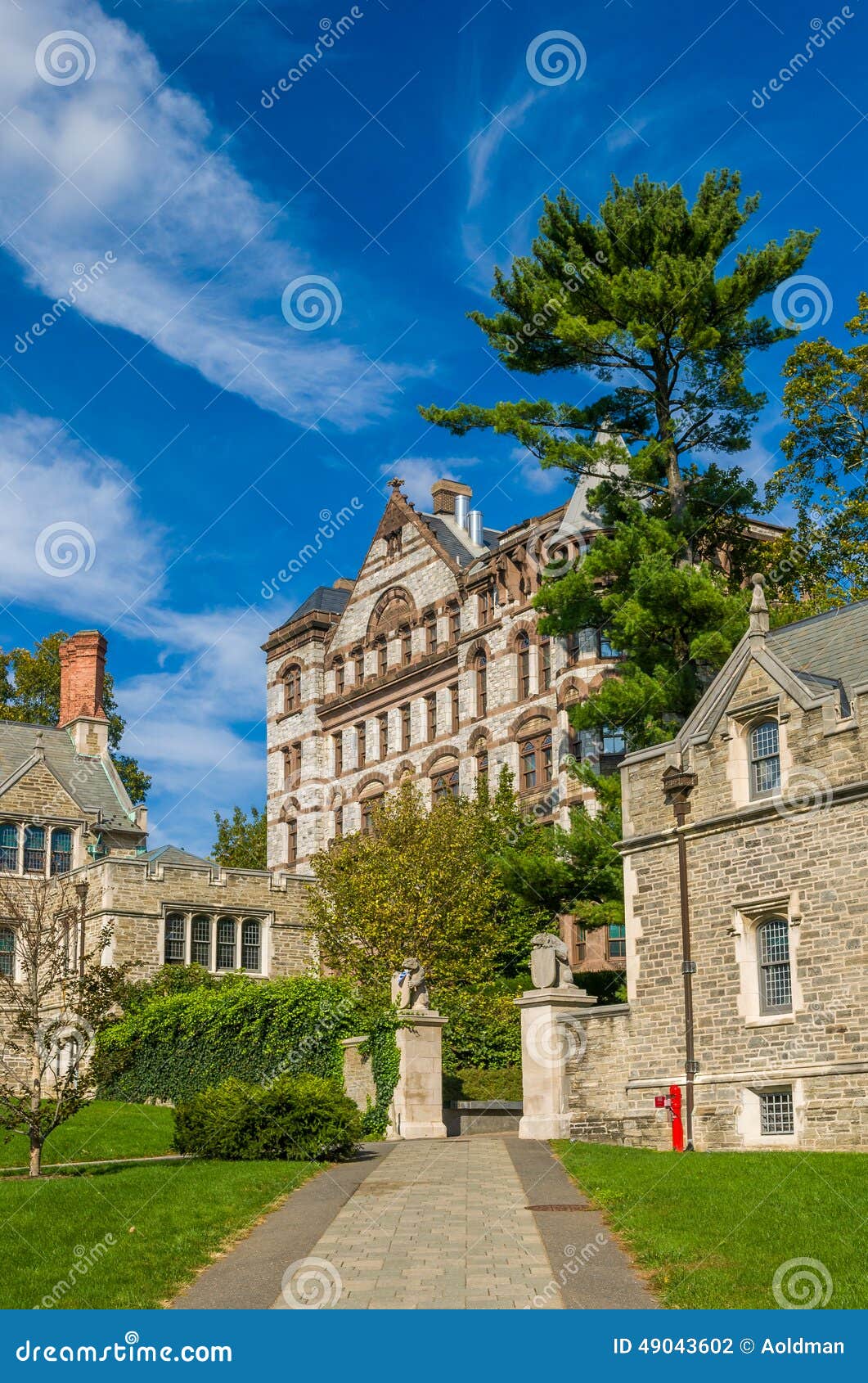 Princeton University stock photo. Image of education - 49043602
