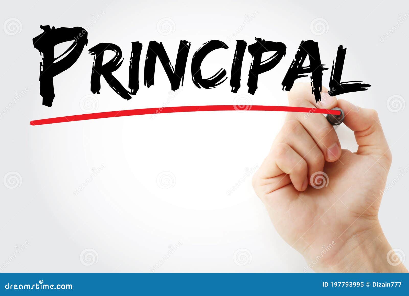 Principal text with marker stock illustration. Illustration of ...