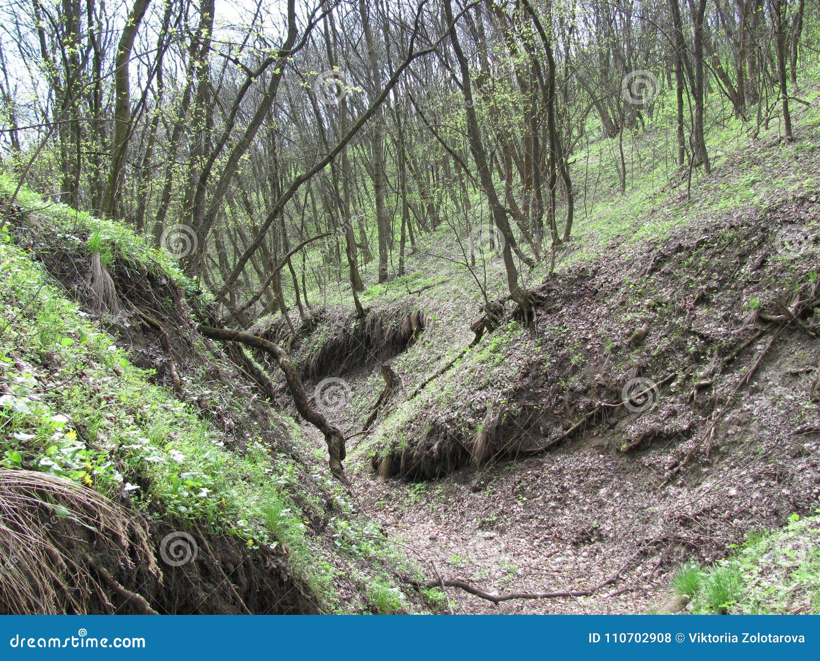 Principio de un barranco foto de archivo. Imagen de colina - 110702908