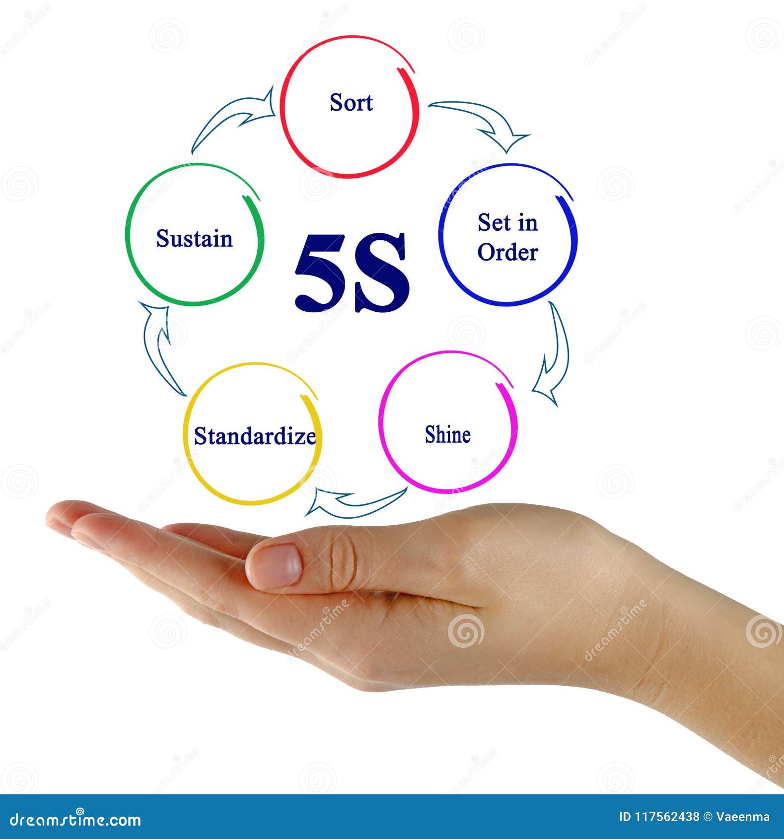 Principles of 5s stock photo. Image of palm, woman, hand - 117562438