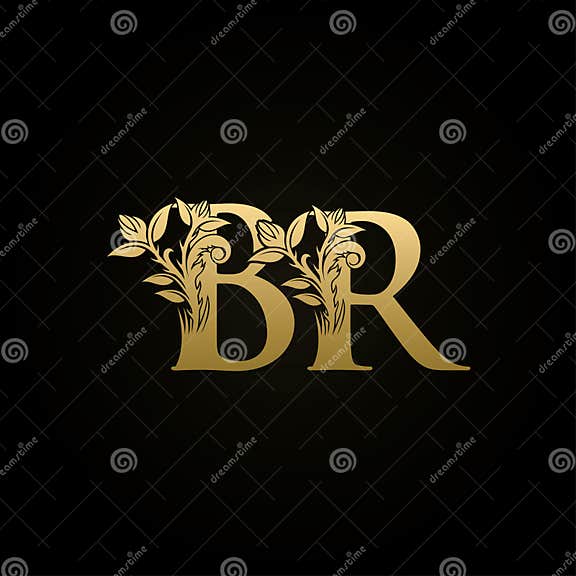 Classy BR Letter Gold logo stock illustration. Illustration of golden ...