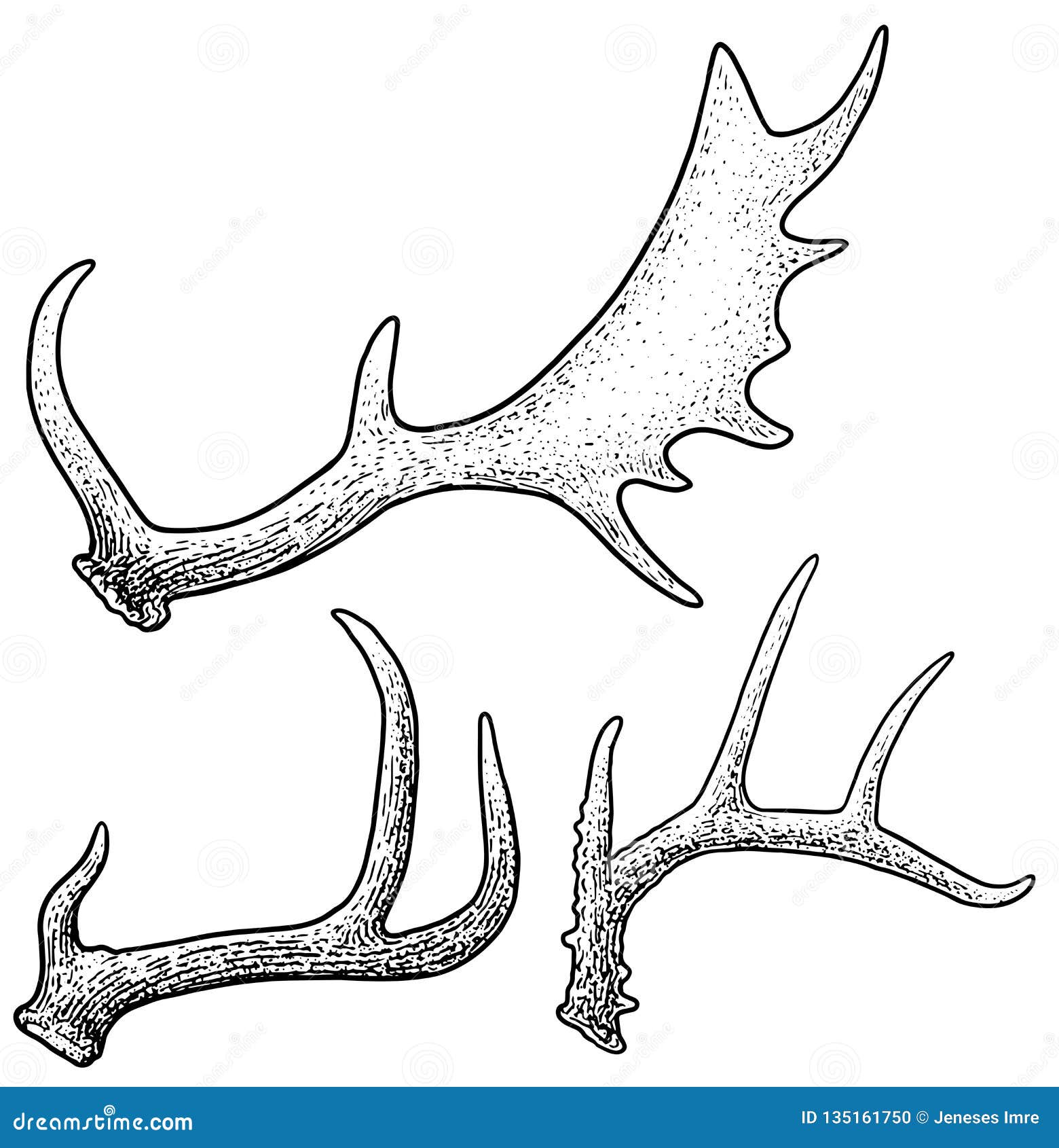 Antlers Illustration, Drawing, Engraving, Ink, Line Art, Vector Stock ...
