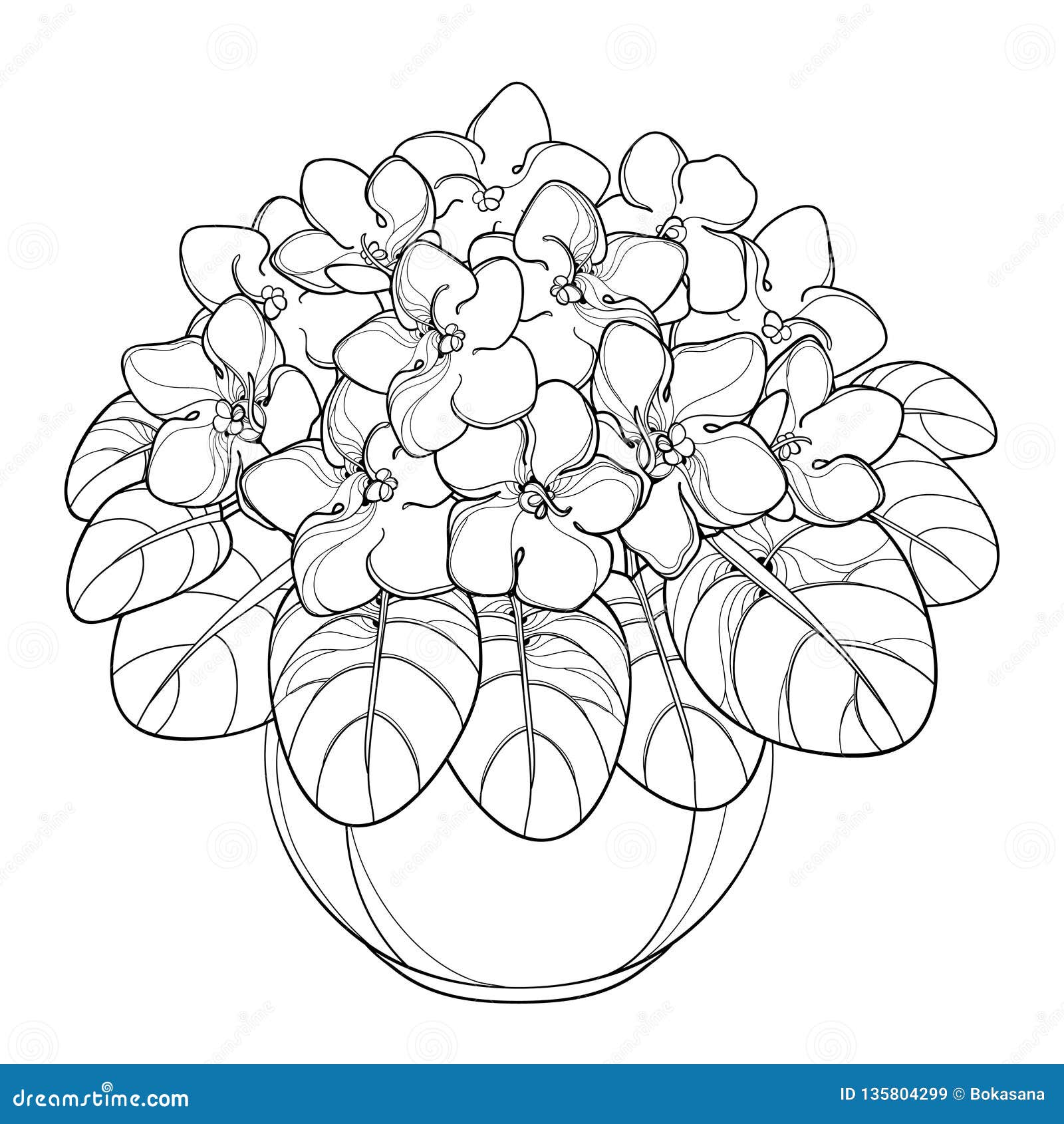 Vector Bouquet with Outline Saintpaulia or African Violet Flower in ...