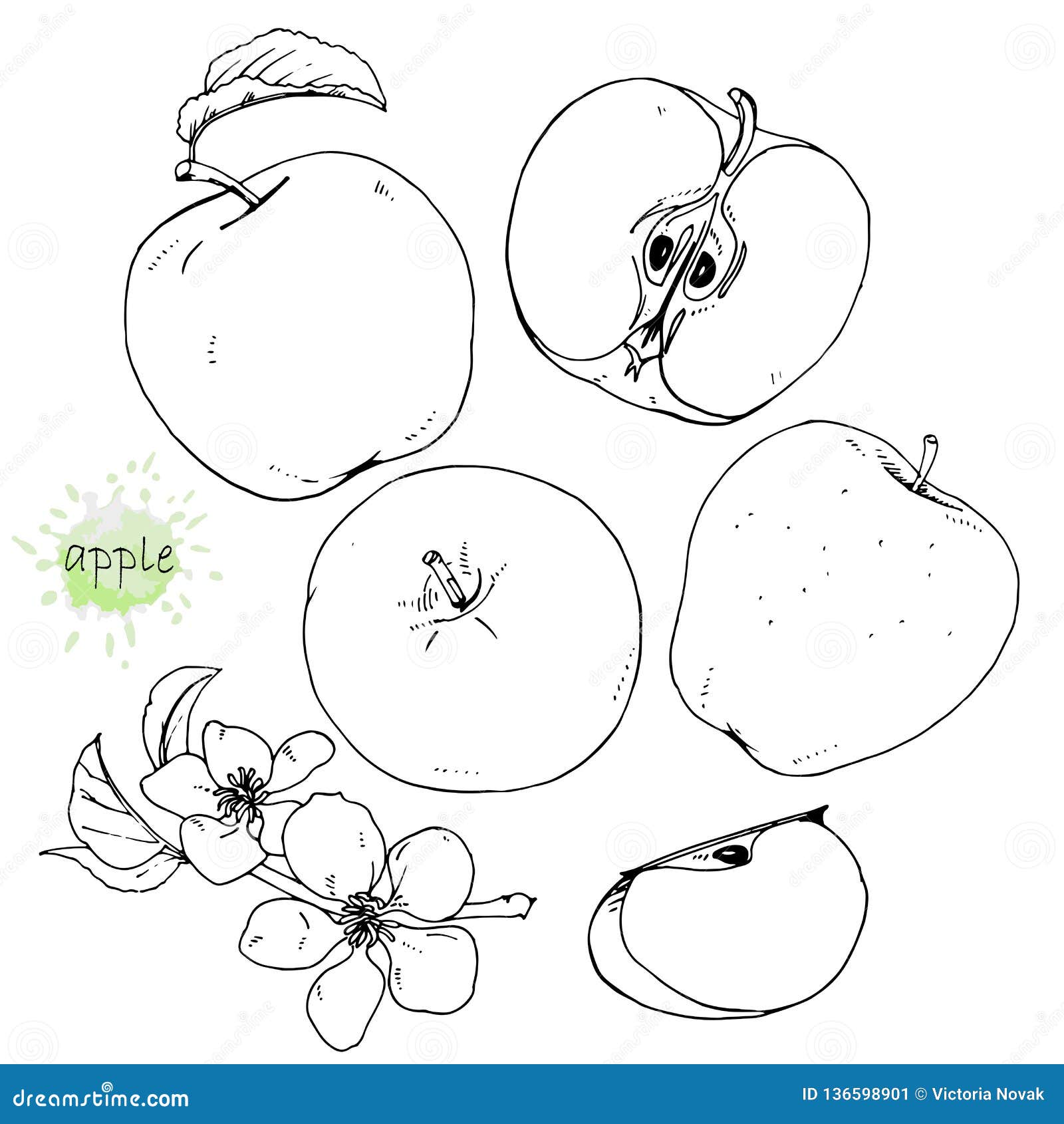 Hand-drawn Illustration of Apple, Vector Stock Vector - Illustration of ...