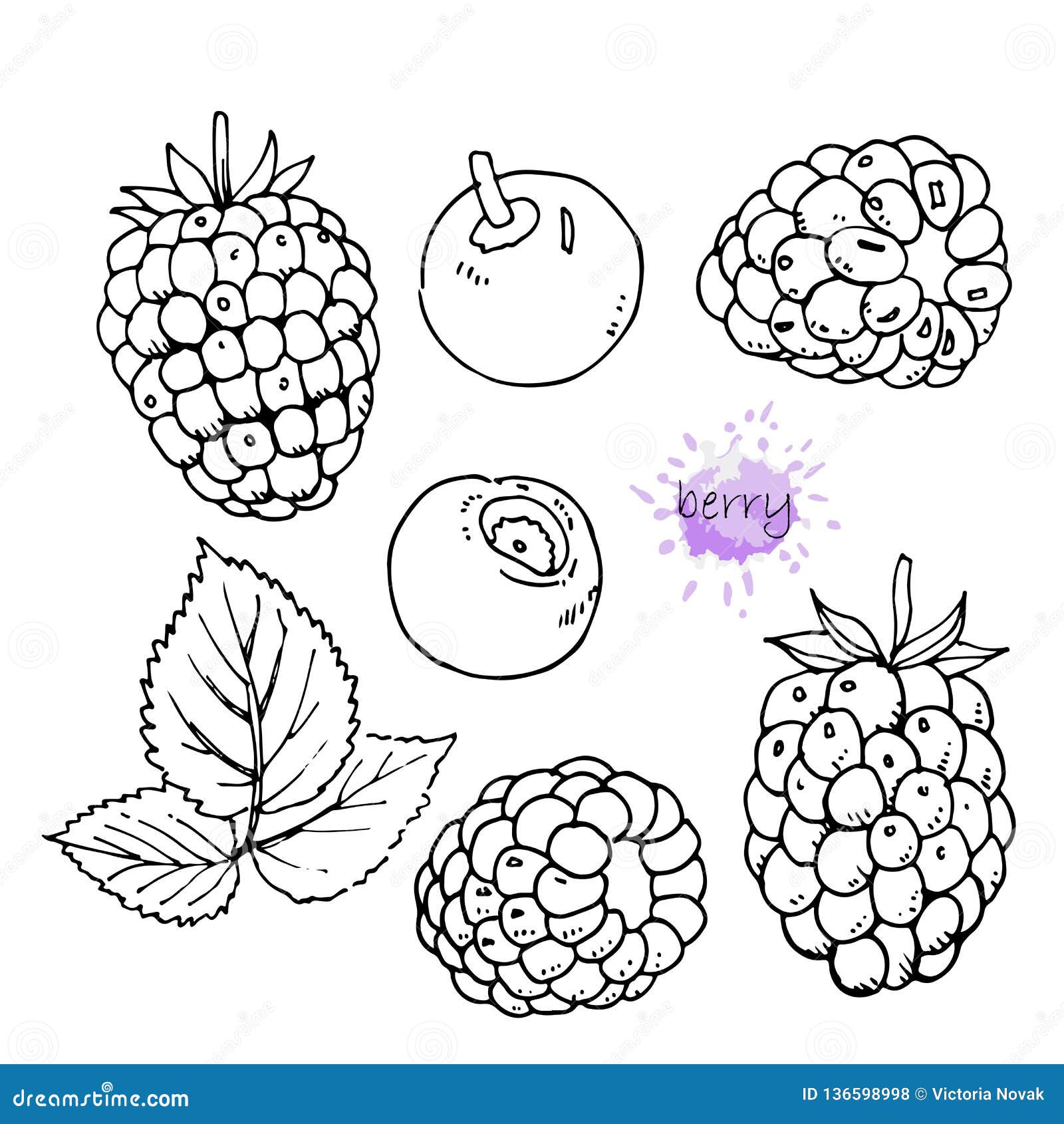 Hand-drawn Set of Berries, Vector Stock Vector - Illustration of ...