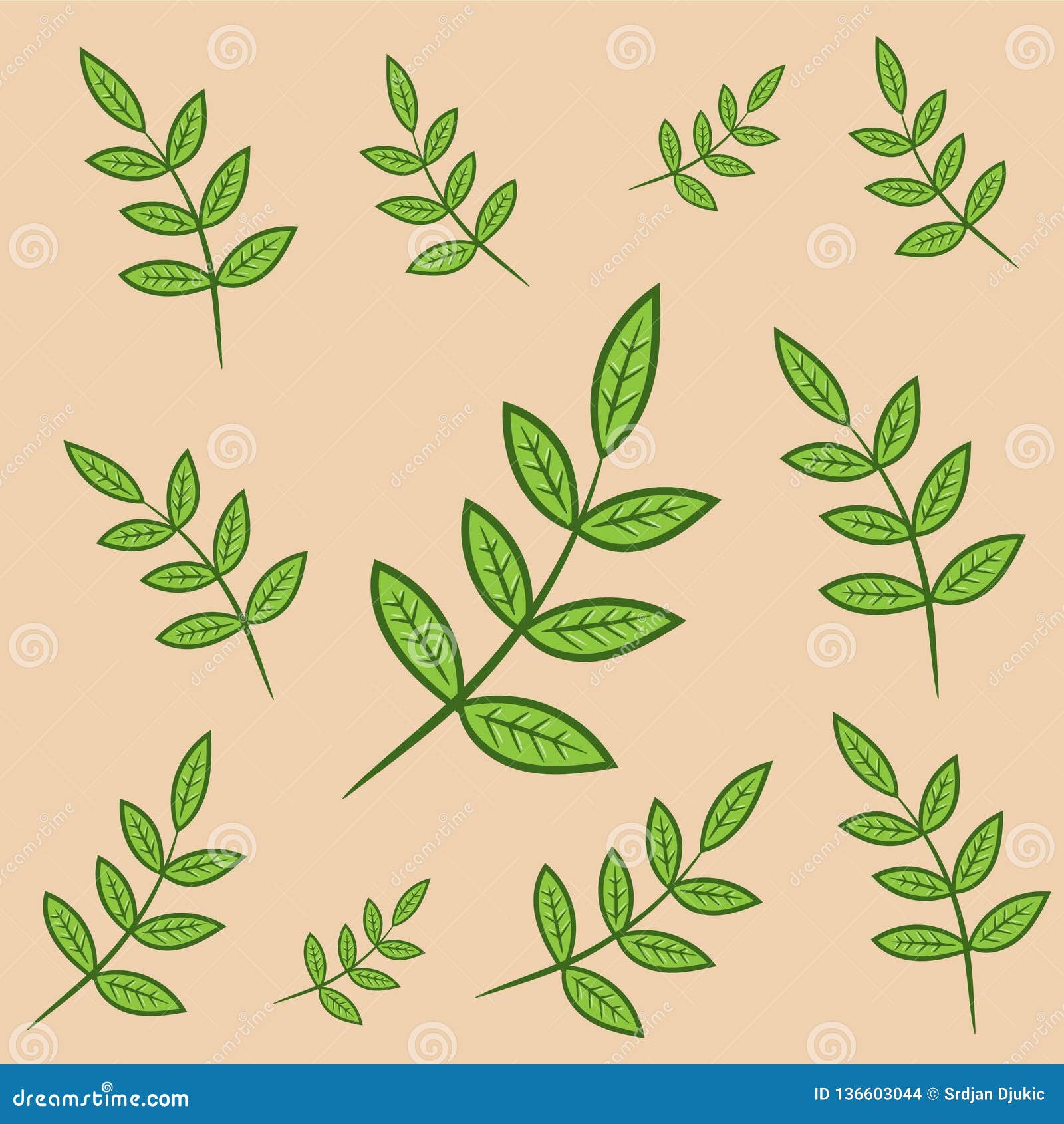 Decorative Leaves Collection for Many Uses Stock Vector - Illustration ...