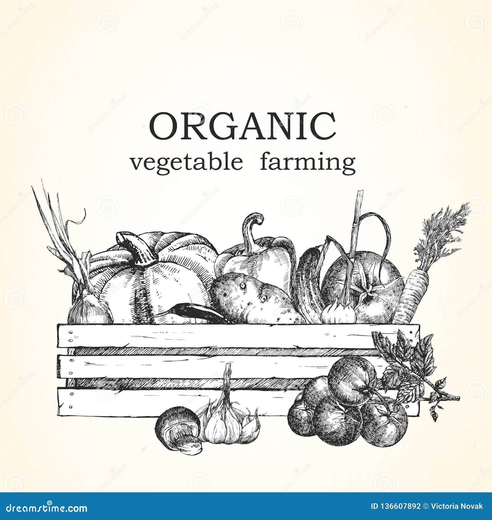 Hand-drawn Illustration of Vegetables in Box. Vector Stock Illustration ...