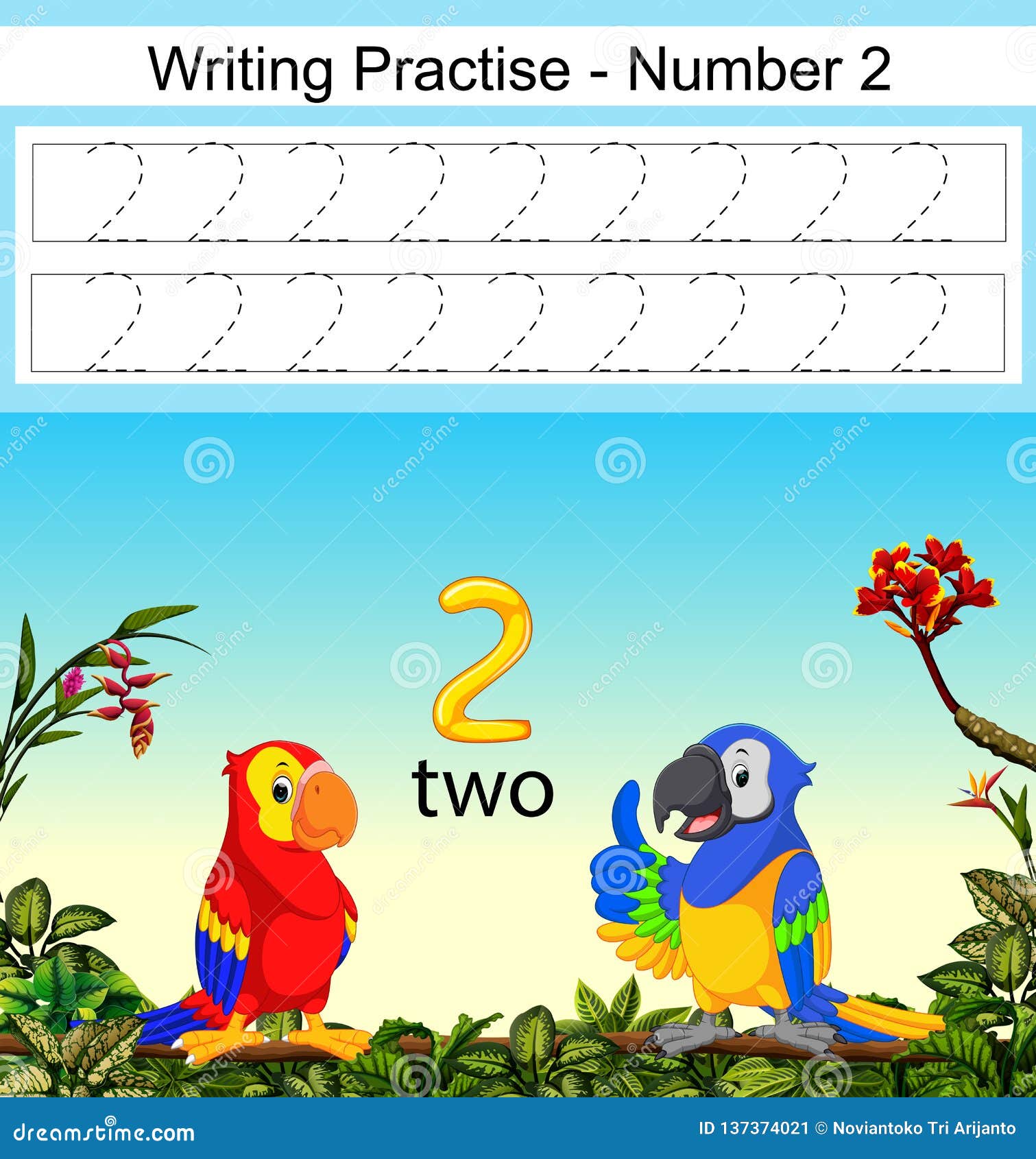 The Writing Practices Number 2 with Two Beautiful Parrots Under it ...