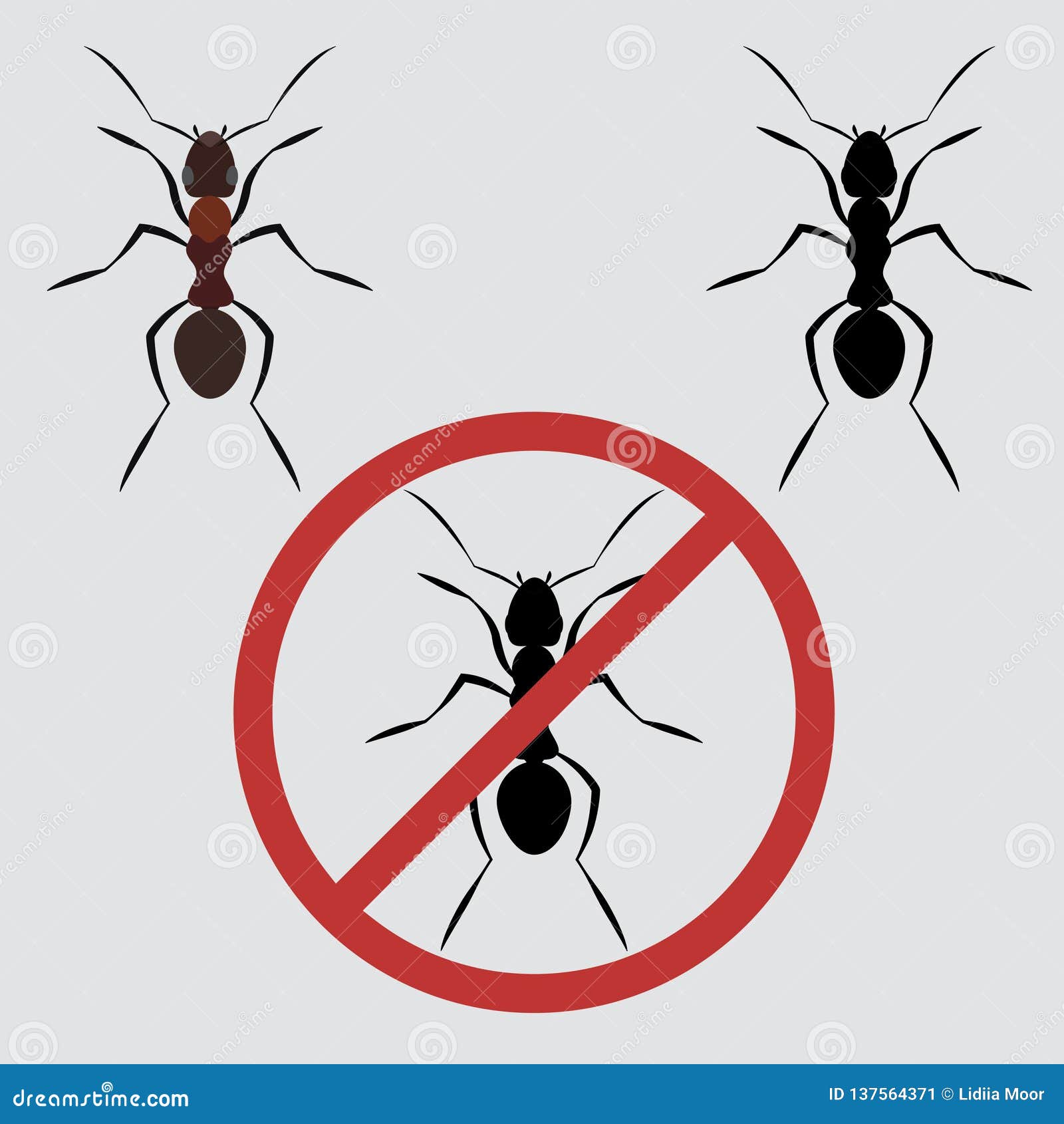 Vector set of icons ants stock illustration. Illustration of cartoon ...