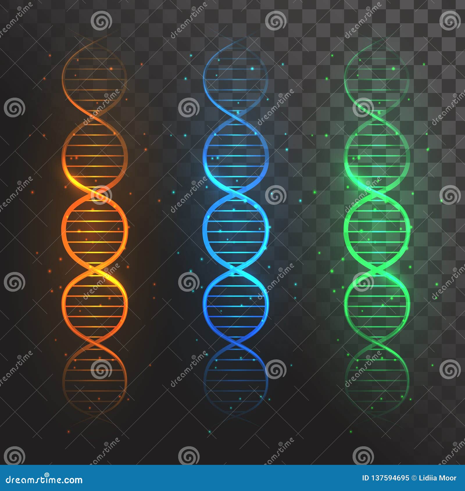 Set of DNA molecules stock vector. Illustration of isolated - 137594695