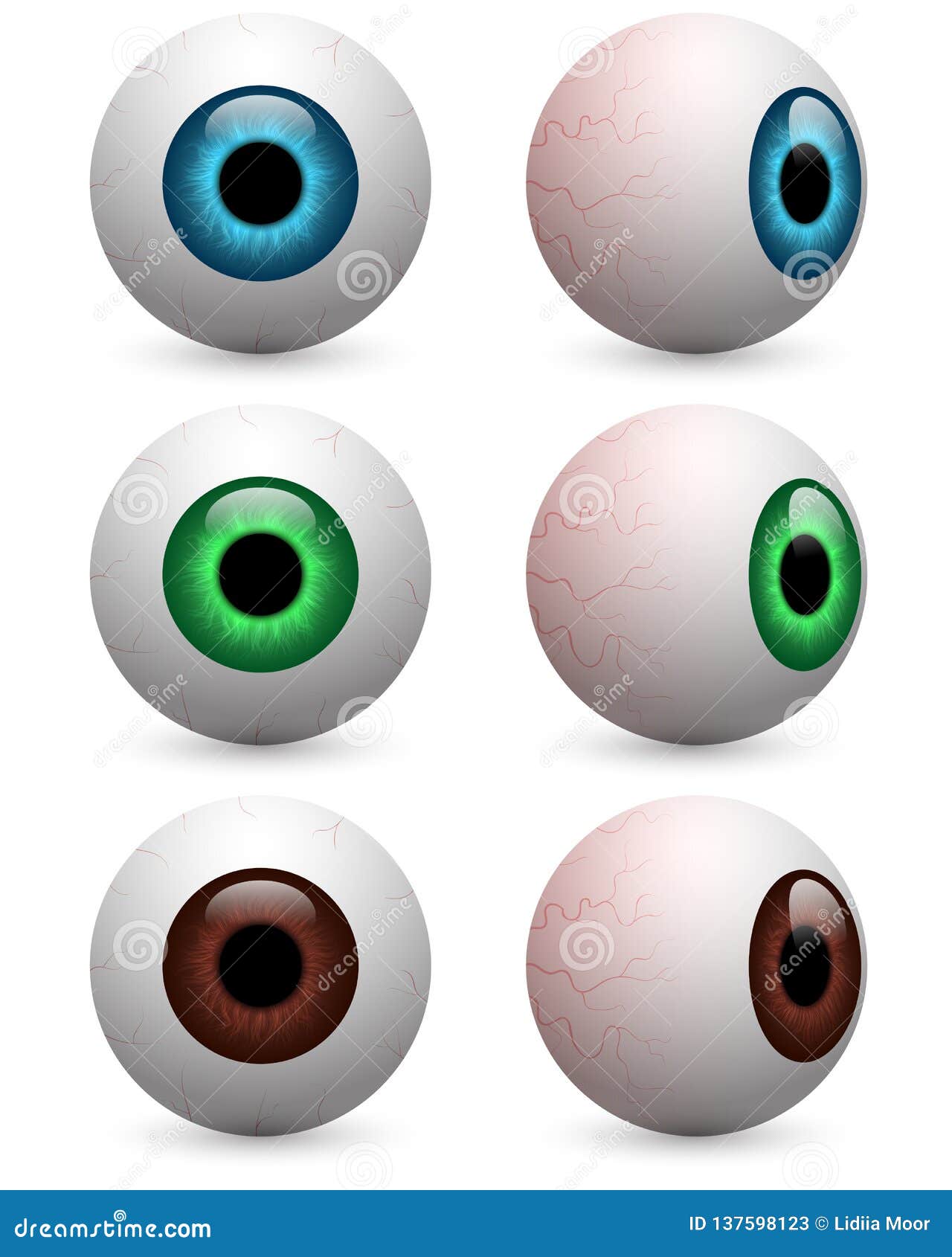 Two Brown Eyeballs Riding Tandem Stock Illustration | CartoonDealer.com ...