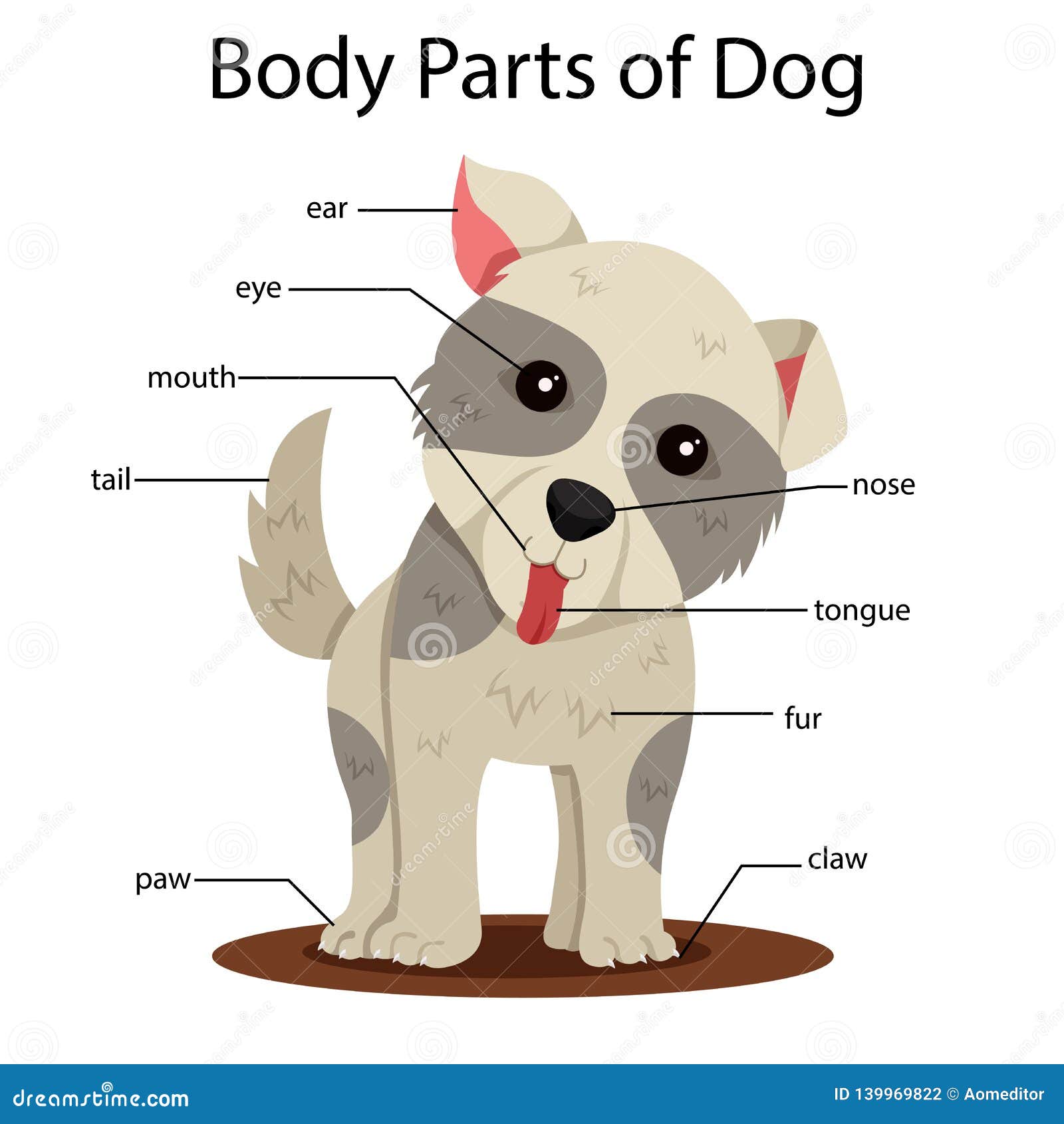 Illustrator of Body Parts of Dog Stock Vector - Illustration of lesson ...