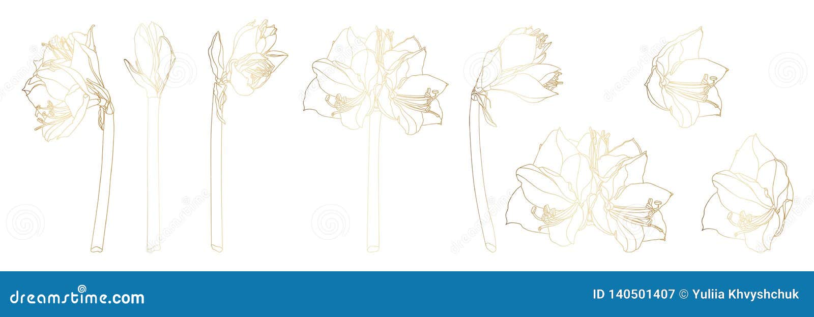 Decorative Line Golden Clivia Amaryllis Branch Flowers Set, Design ...