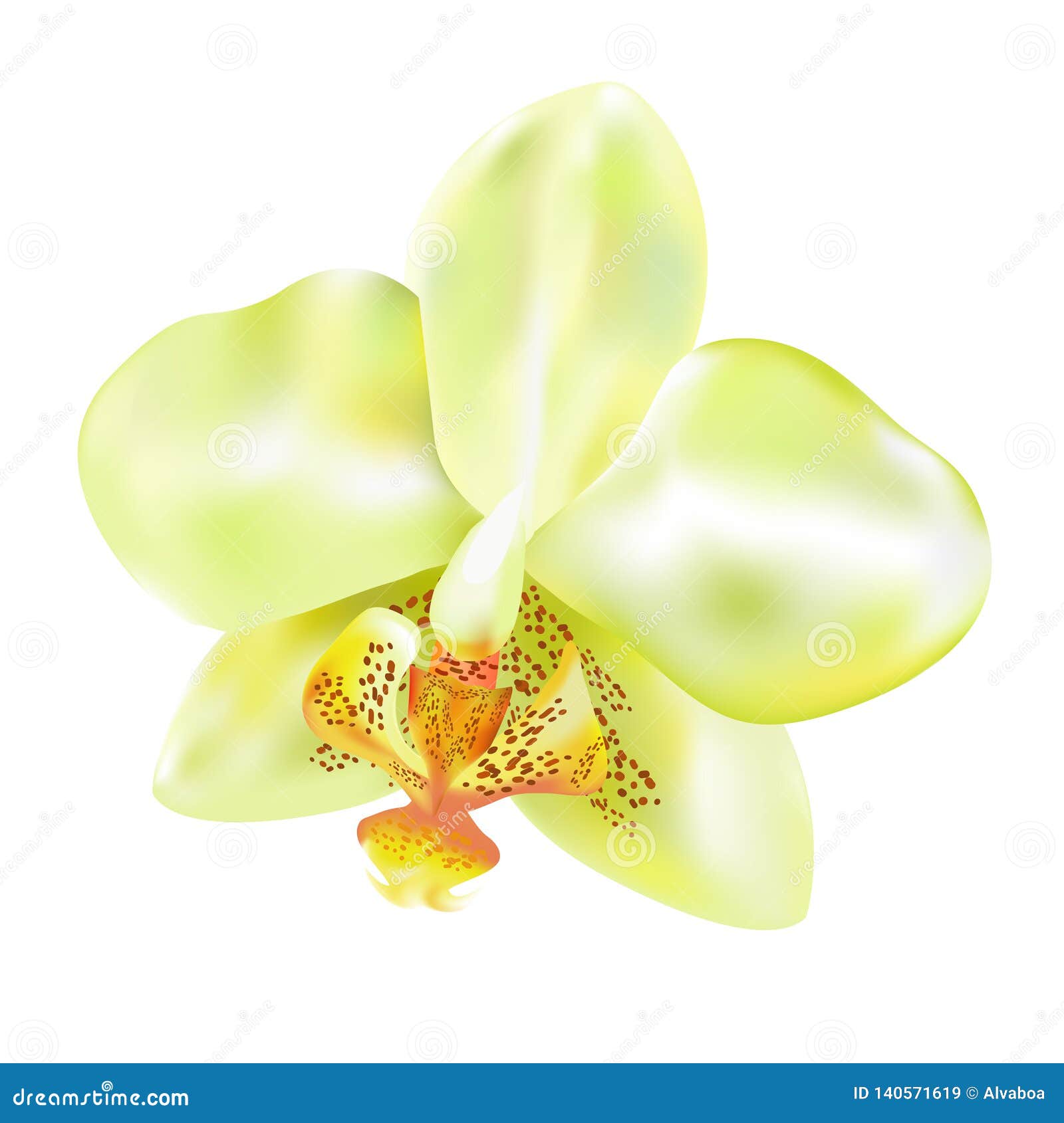 Yellow Orchid Vector Illustration - High-quality Clipart Image ...