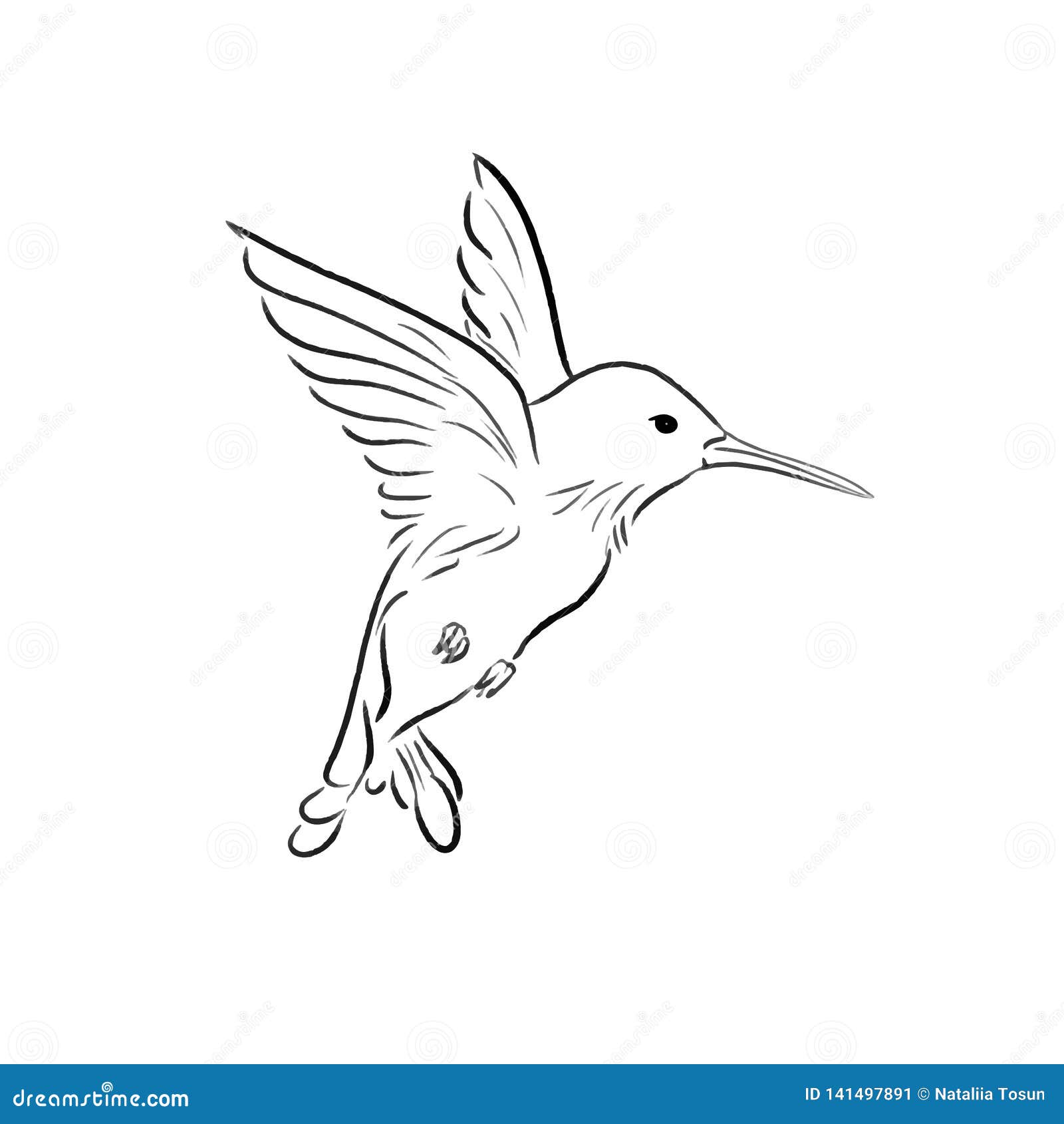Print Flying Colibri Sketch One Line Draw Vector Illustration Stock ...