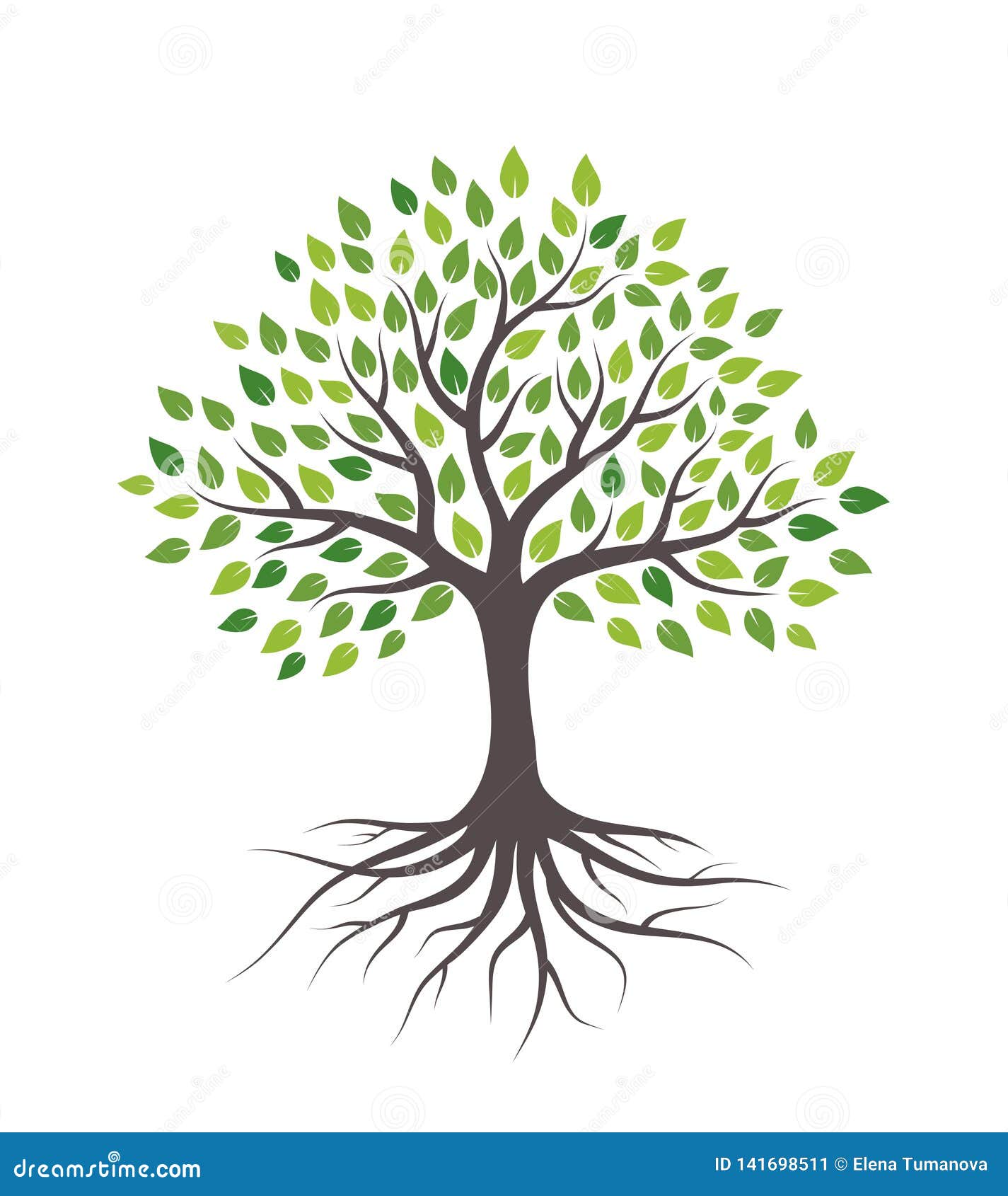 Tree with Green Leaves and Roots. Isolated on White Background Stock ...