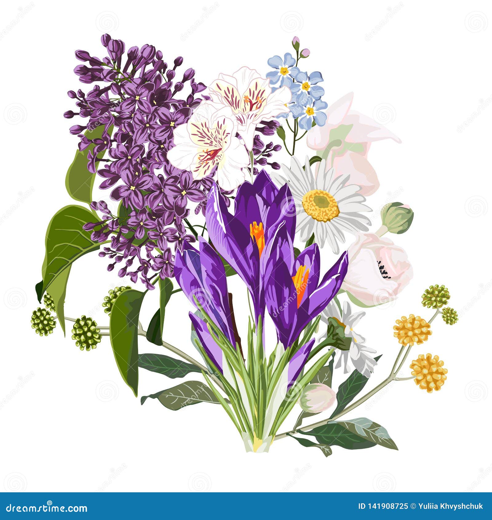 Purple Spring Crocus Flower Hand Drawn In Cartoon Style For Card Design ...