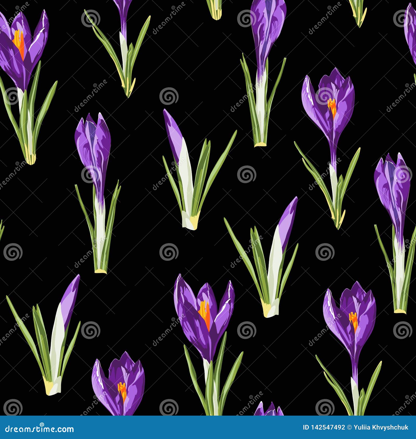 Spring Crocus Border Cartoon Vector | CartoonDealer.com #51782627