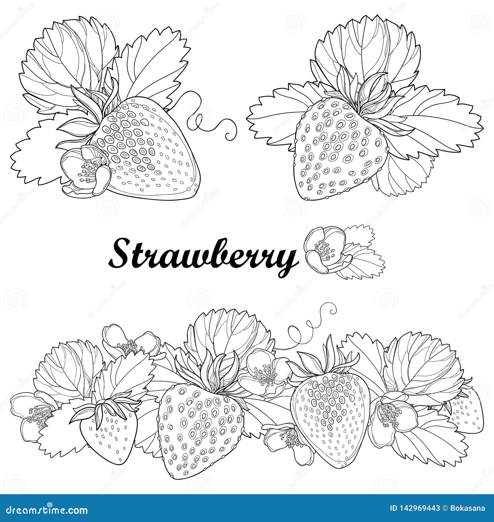 Vector Set with Outline Strawberry, Bunch, Berry, Flower and Ornate ...