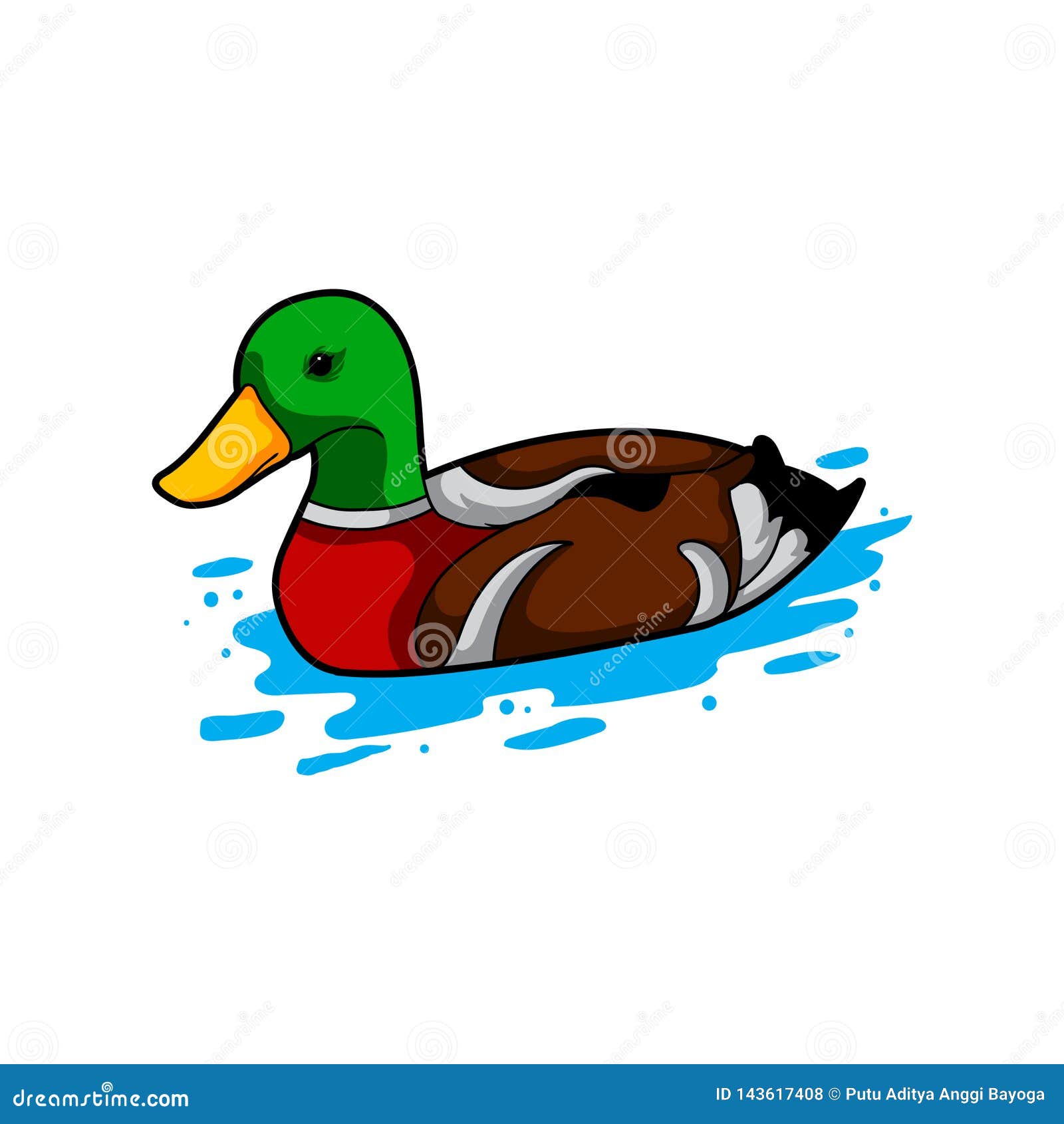 Swimming Duck stock vector. Illustration of wildlife - 143617408
