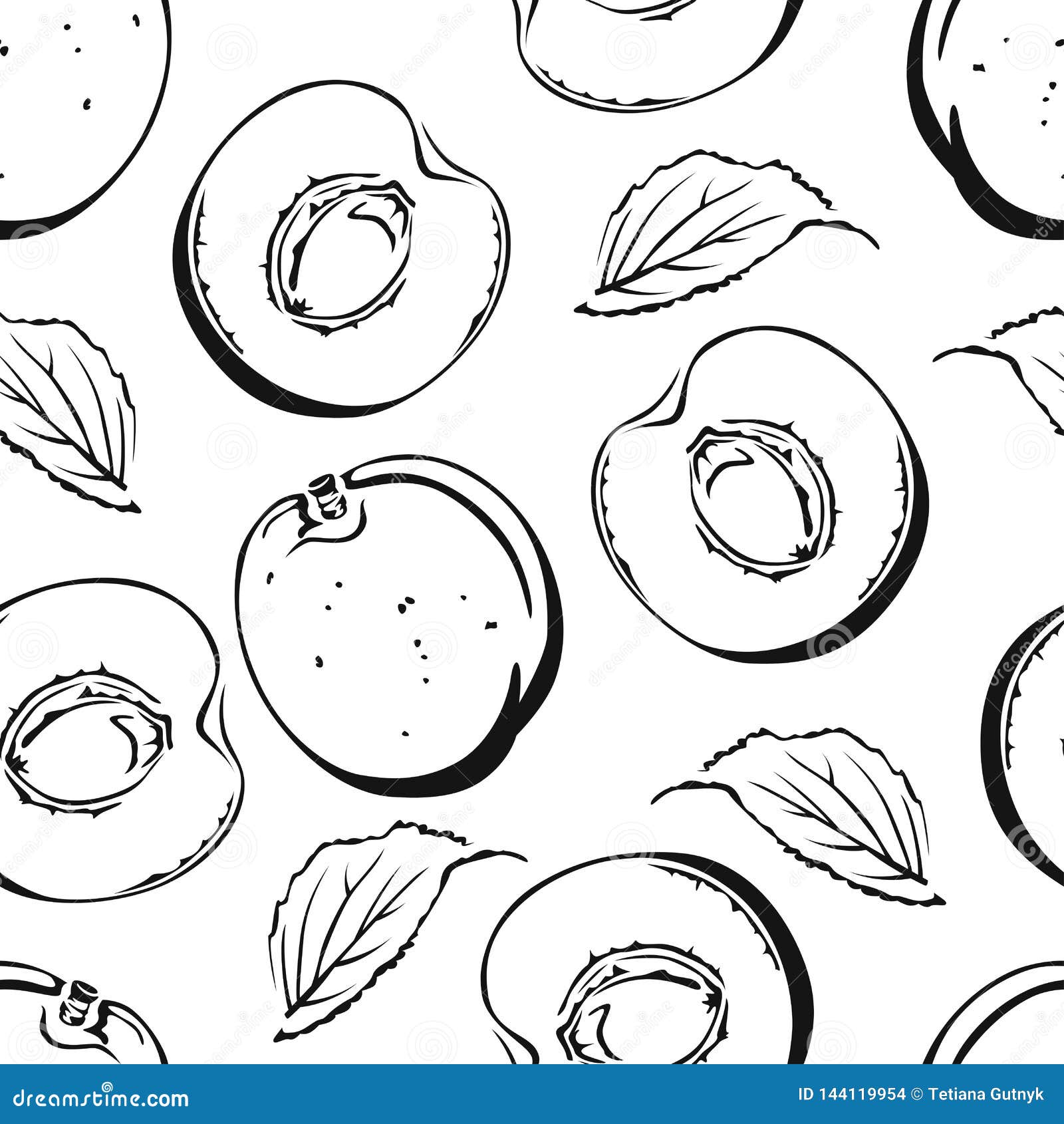 Apricot Seamless Pattern. Vector Drawing. Hand Drawn Fruit ...