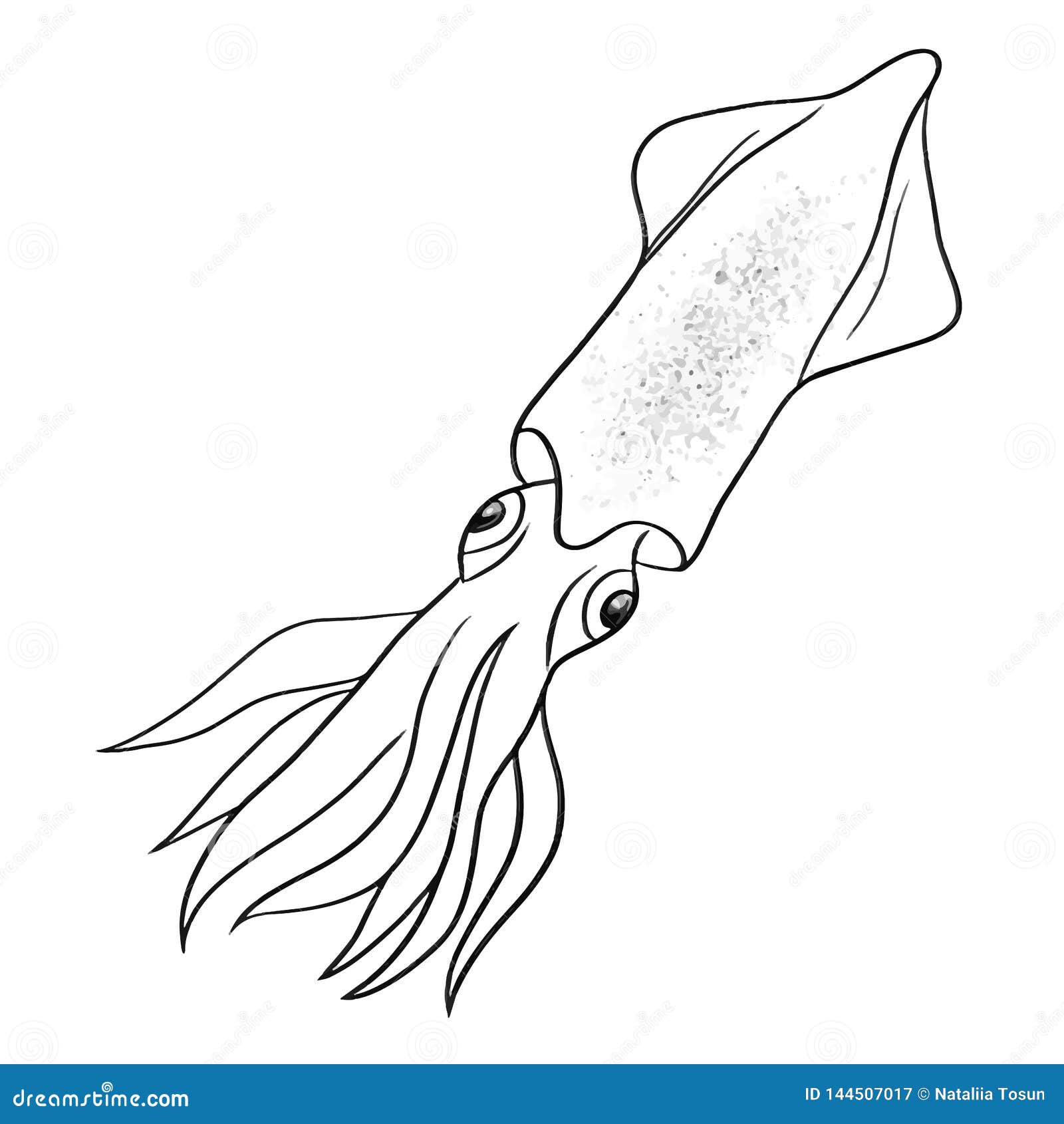 Squid Line And Solid Icon, Seafood Concept, Korean Octopus Calamari ...