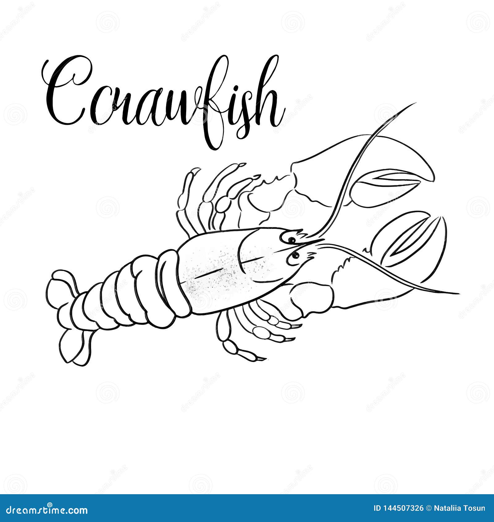 Beautiful Art Animal Print Crawfish Line Vector Illustration Stock ...
