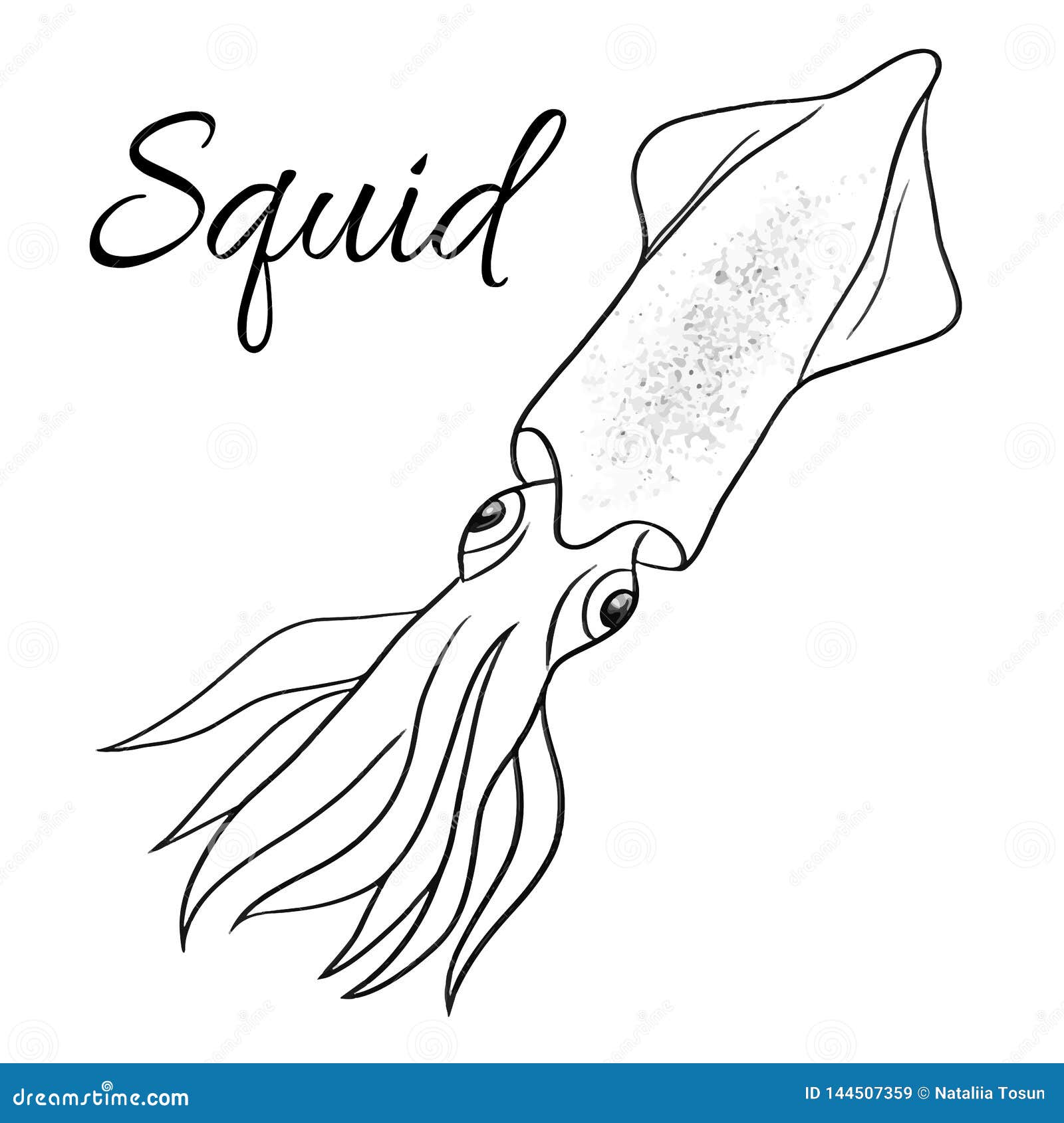 Beautiful Art Animal Beautiful Print Squid Line Vector Illustration Art ...