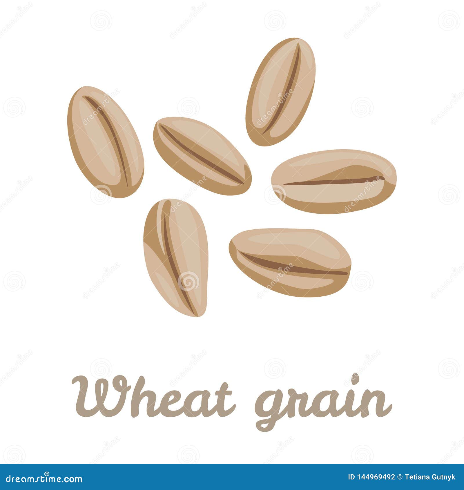 Vector Cartoon Wheat Grain Icon Isolated. Illustration of Cereal Stock ...