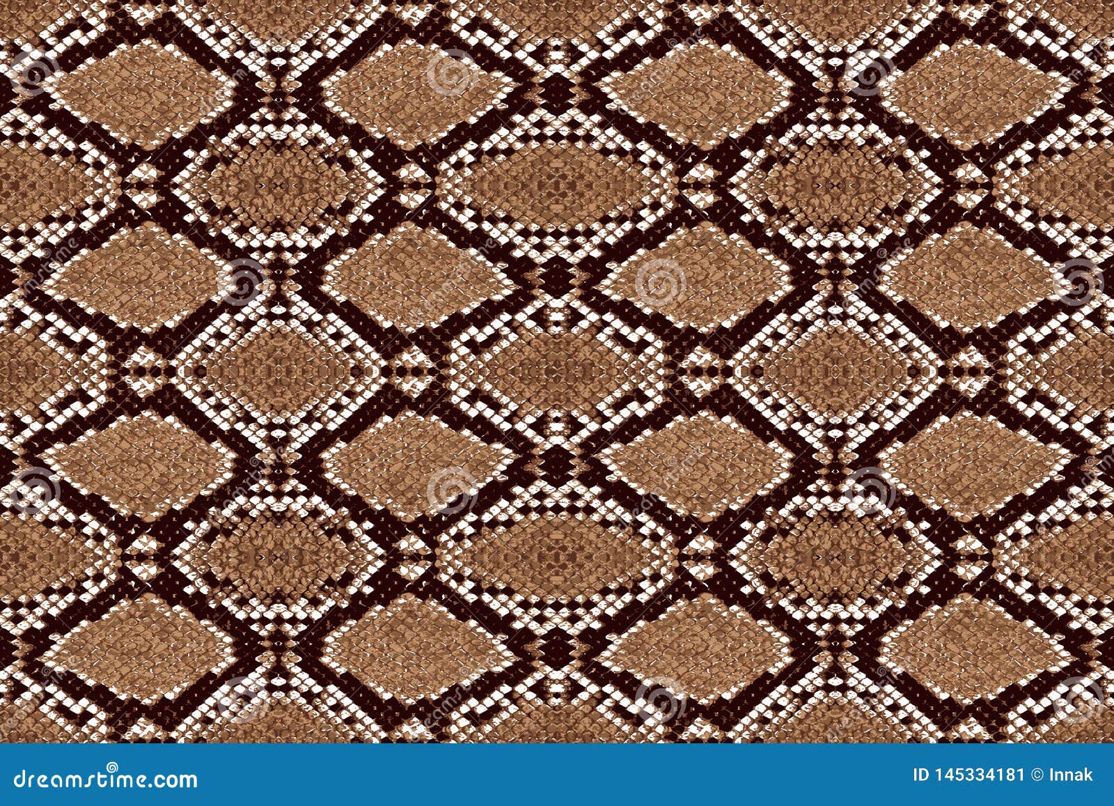 Snake Skin Pattern Texture Repeating Seamless. Vector. Texture Snake ...