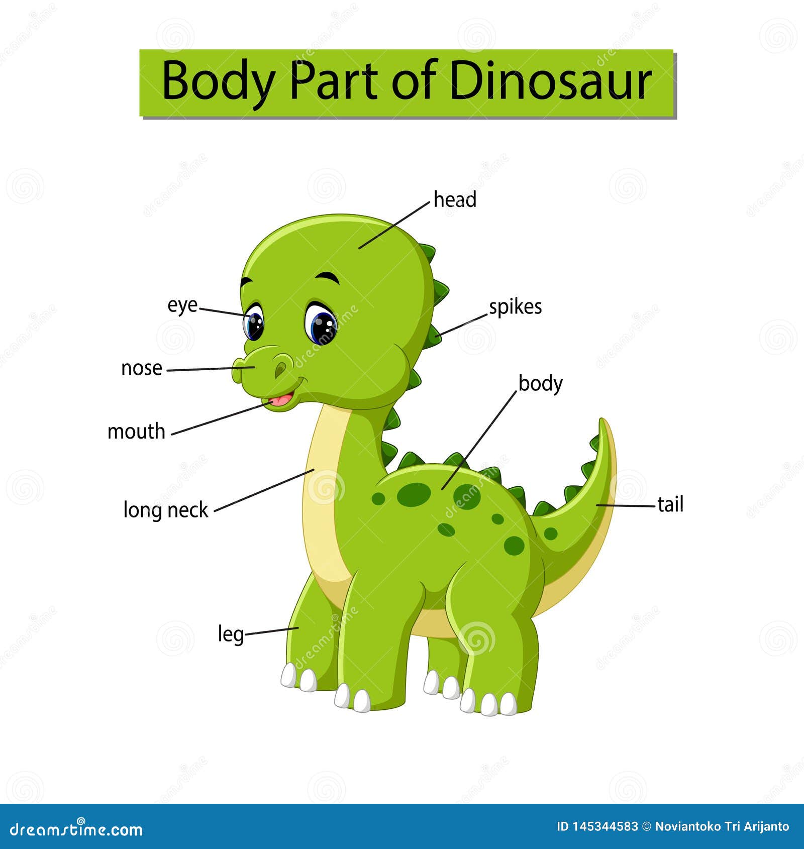 Dinosaur Anatomy Iguanodon Total Cutaway, Showing All Internal Organs ...