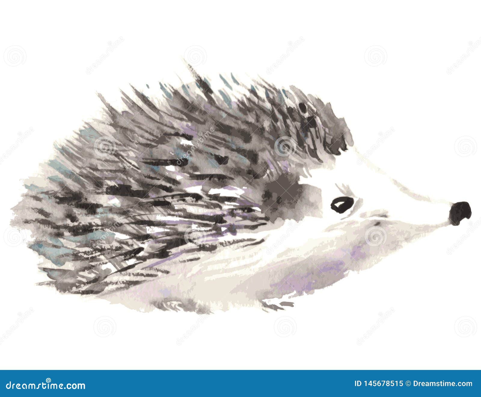 Sad Hedgehog Cartoon Vector | CartoonDealer.com #12111665