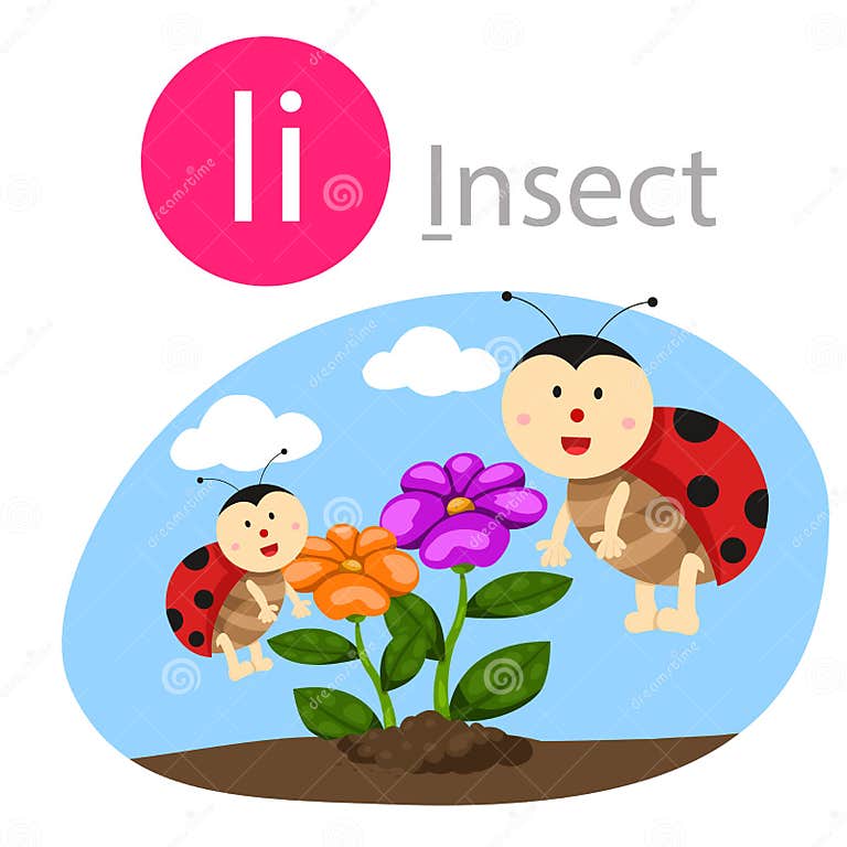 Illustrator of I for Inscet Animal Stock Vector - Illustration of ...