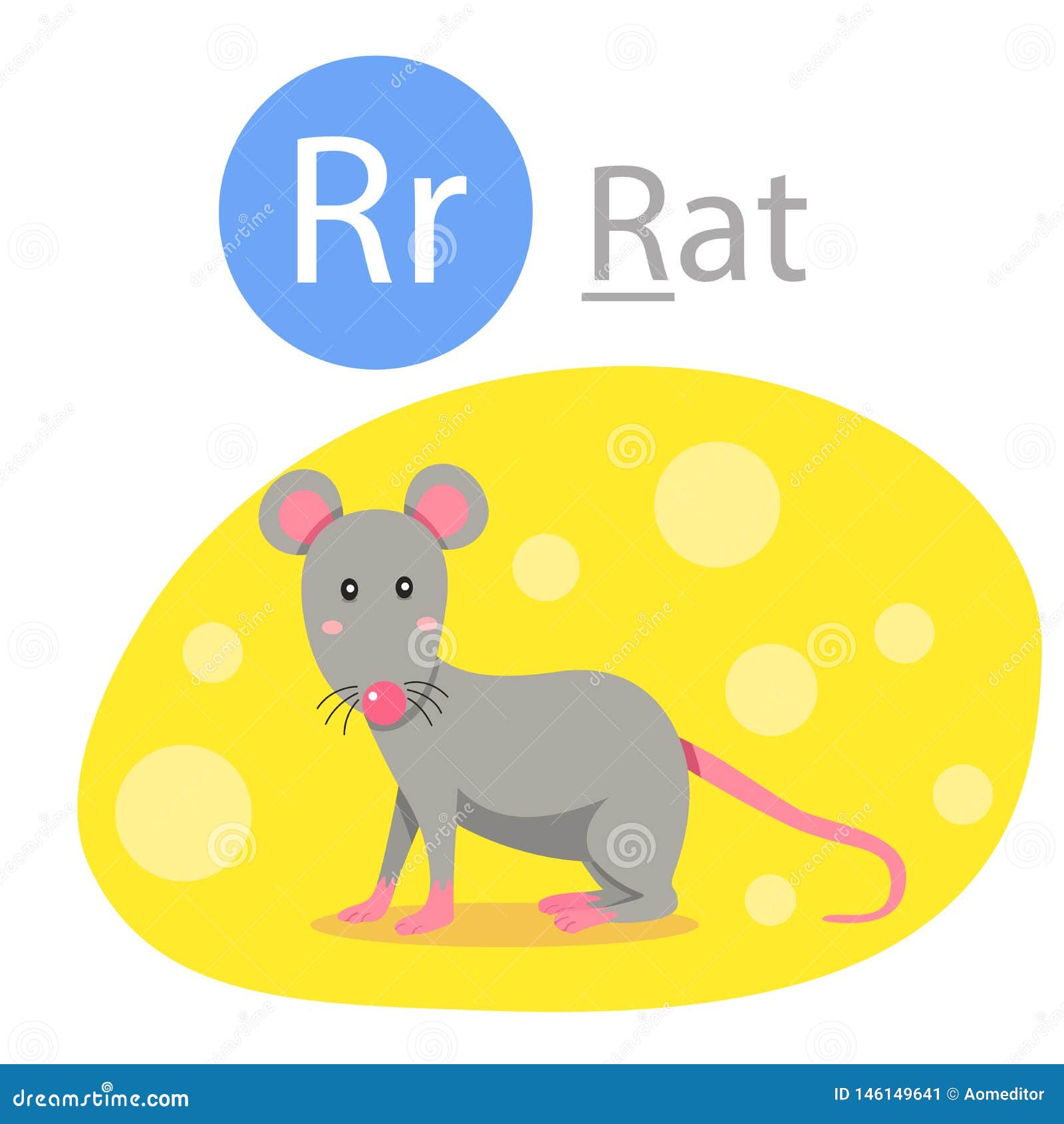 Illustrator of R for Rat Animal Stock Vector - Illustration of ...