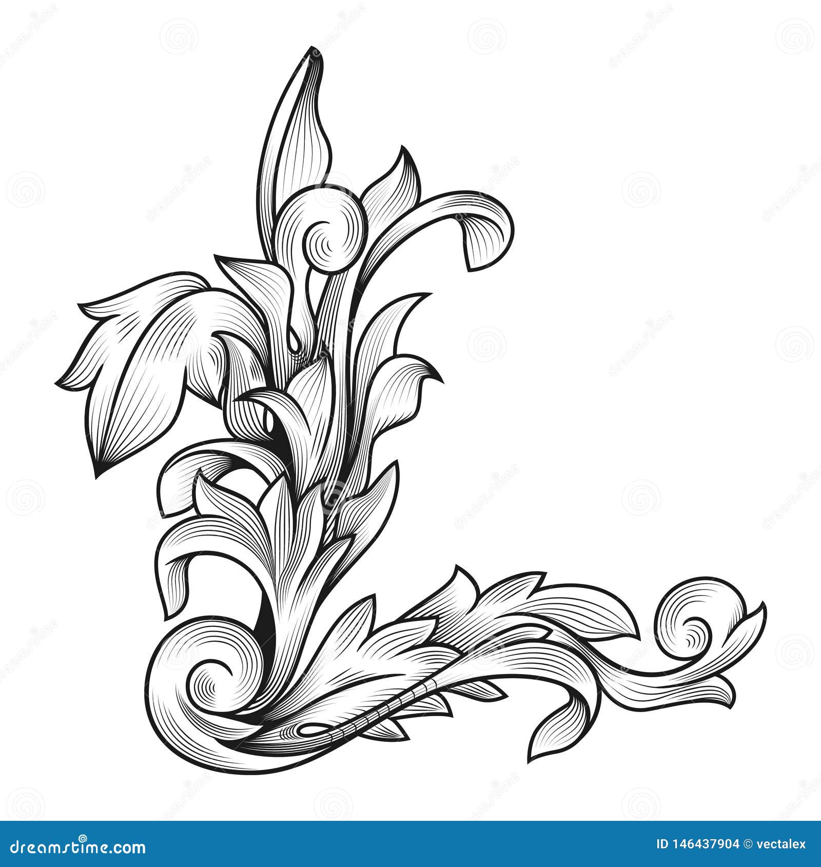 Baroque Rococo Border Frame Acanthus Filigree Vintage Floral Wedding ...