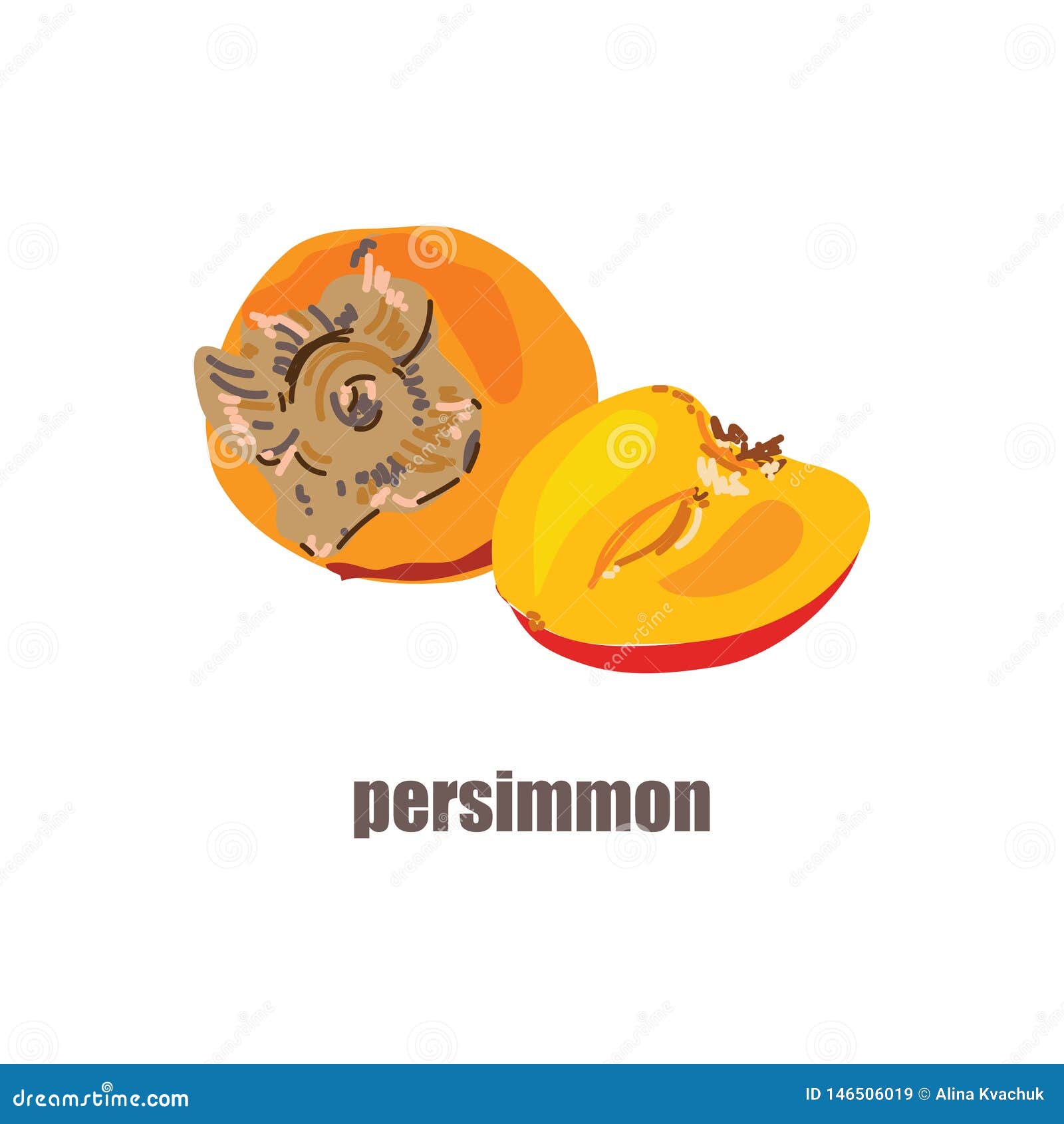 Illustration with the Image of a Persimmon and Persimmon in a Cut ...