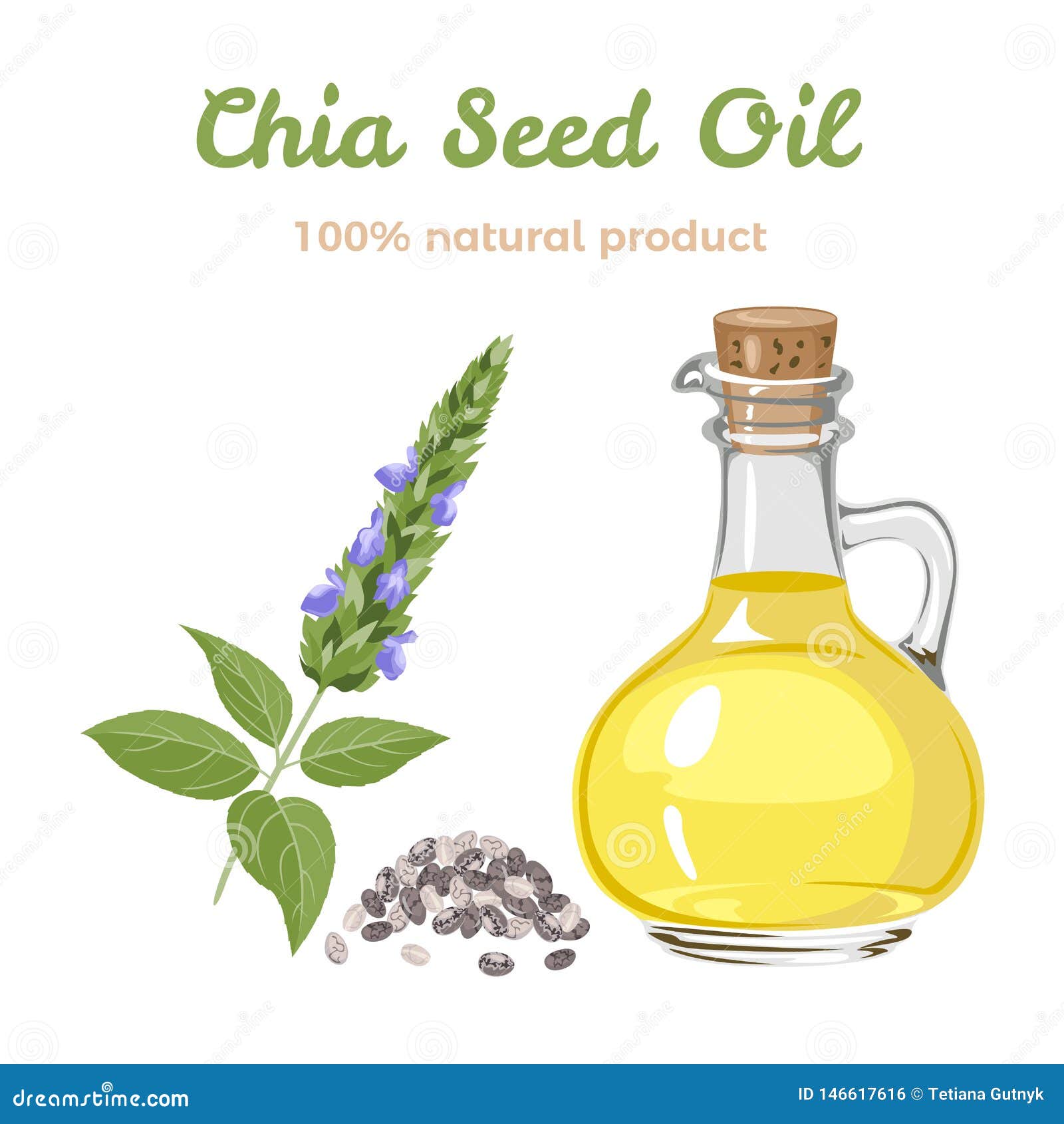 Chia Branch And Chia Seeds Vector Illustration | CartoonDealer.com ...