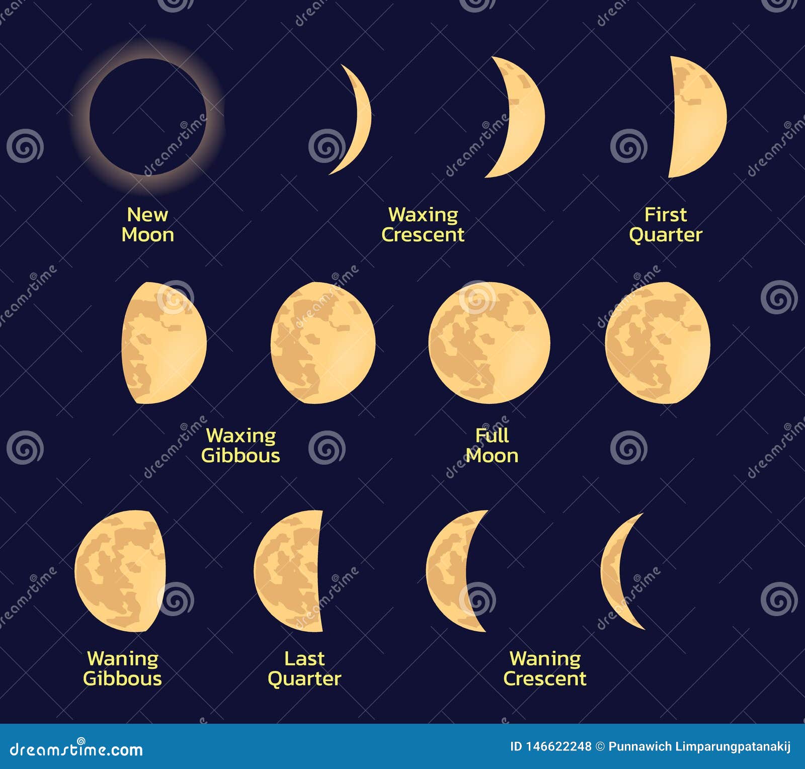 Moon Phases Shadow Light Vector Stock Vector - Illustration of cycle ...