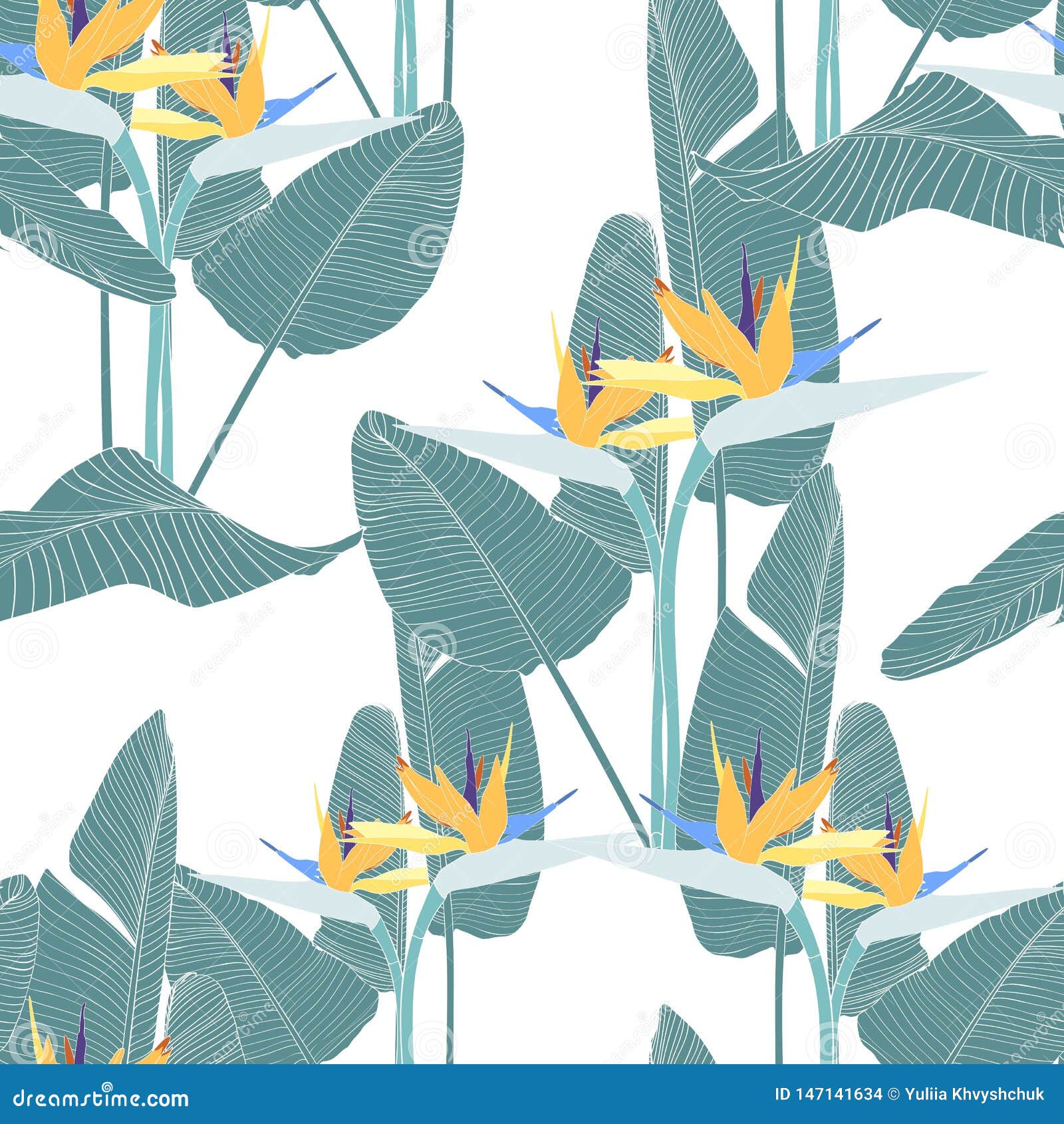 Exotic Blue Strelitzia Flowers and Leaves, White Background. Stock ...