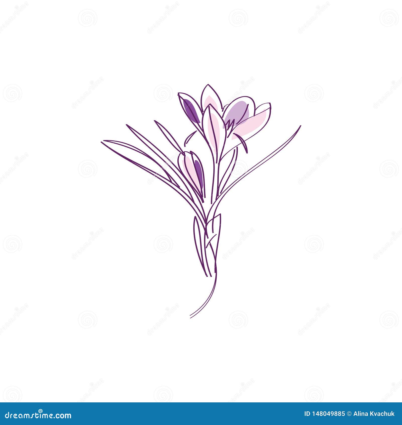 Saffron Crocus Flower Crocus Sativus. Hand Draw Sketch Cartoon Vector ...