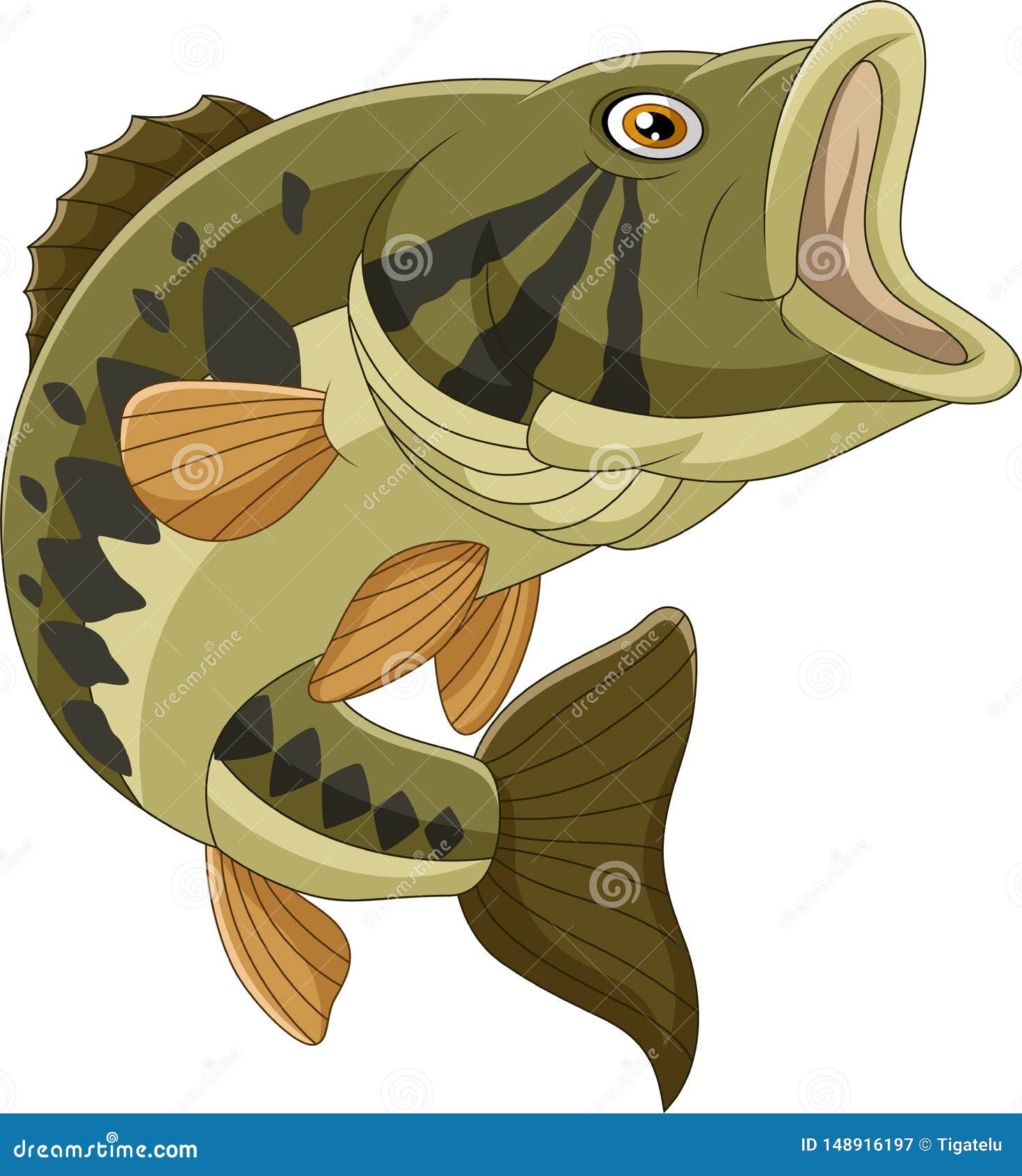 Bass Fish Cartoon Stock Photo | CartoonDealer.com #32003640