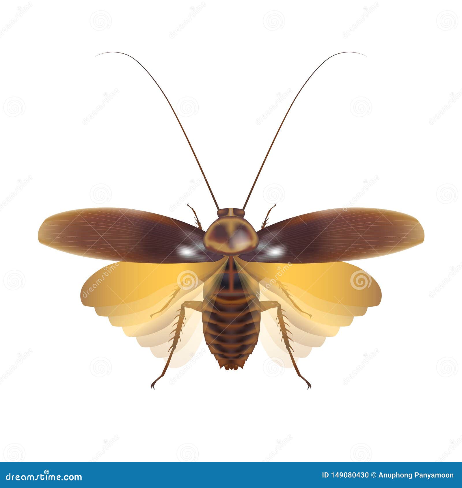 Cockroach Fly on White Background Stock Vector - Illustration of ...