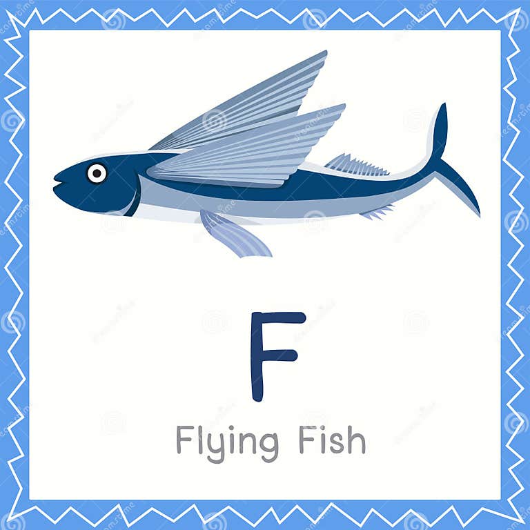 Illustrator of F for Flying Fish Animal Stock Vector - Illustration of ...