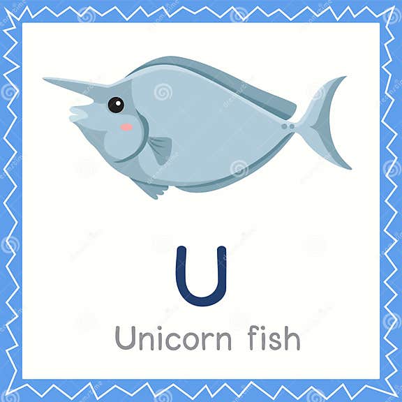 Illustrator of U for Unicorn Fish Animal Stock Vector - Illustration of ...